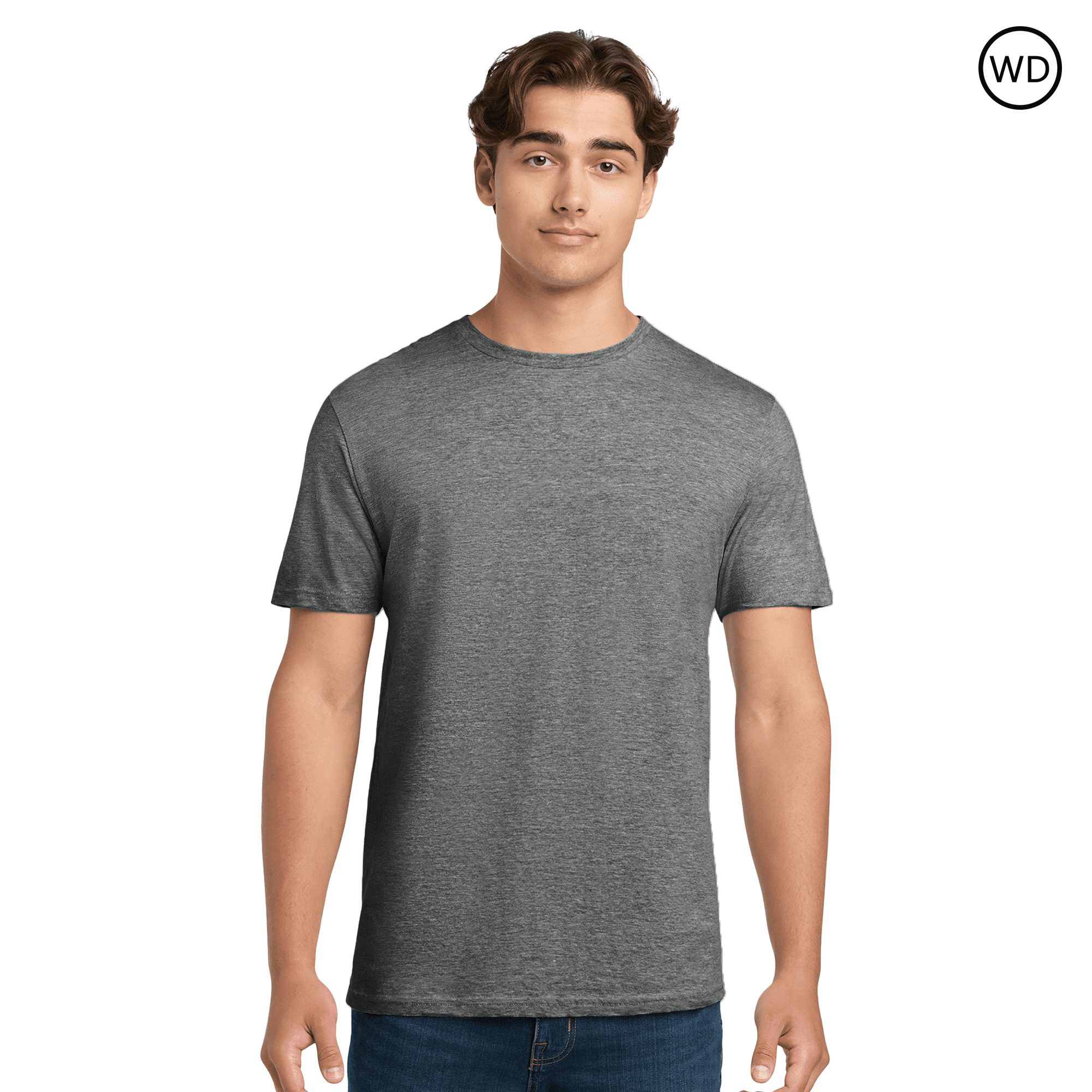 Gildan Softstyle Lightweight T-Shirt for Adult, Graphite Heather, L ...