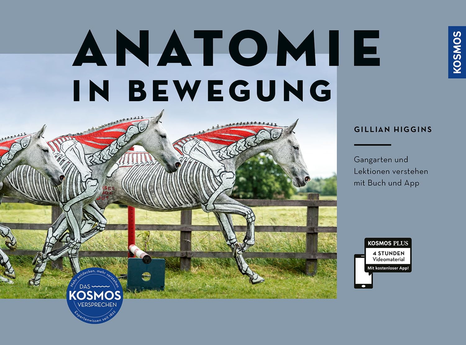 Gillian Higgins Anatomie in Bewegung: Gangarten und Lektionen verstehen ...
