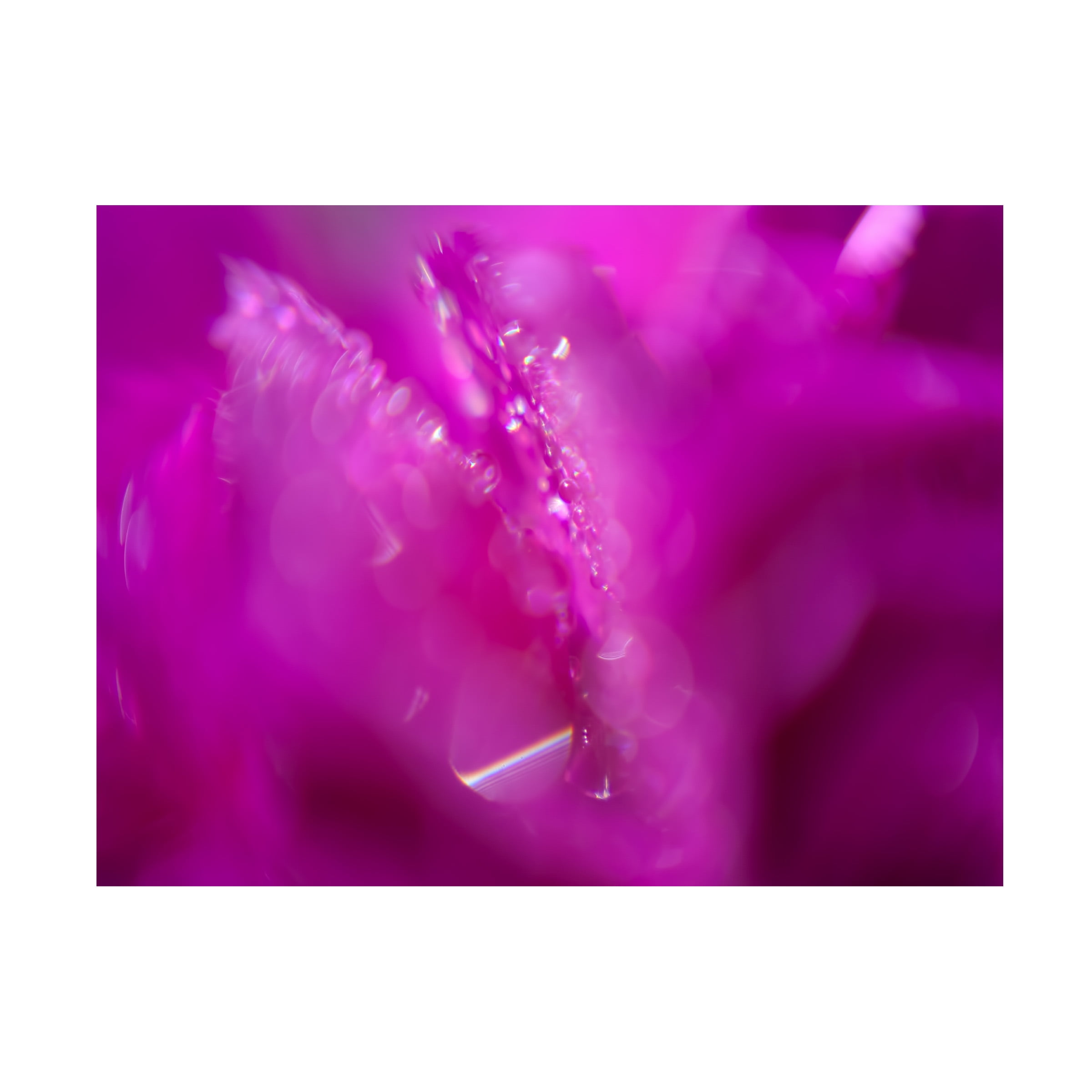 Gillian Hunt 'Hearts in Pink I' Canvas Art - Walmart.com