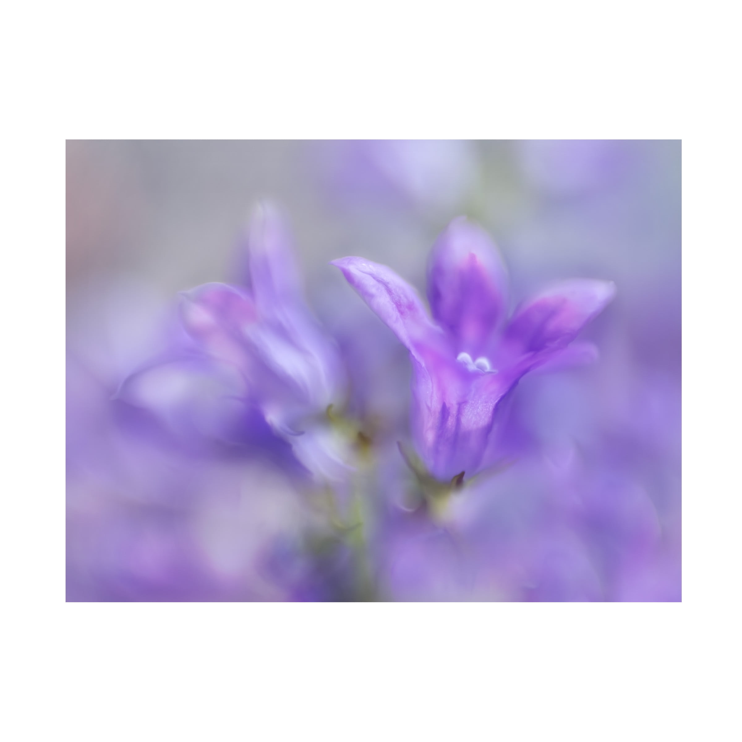 Gillian Hunt 'Ring the Bells of Change III' Canvas Art - Walmart.com