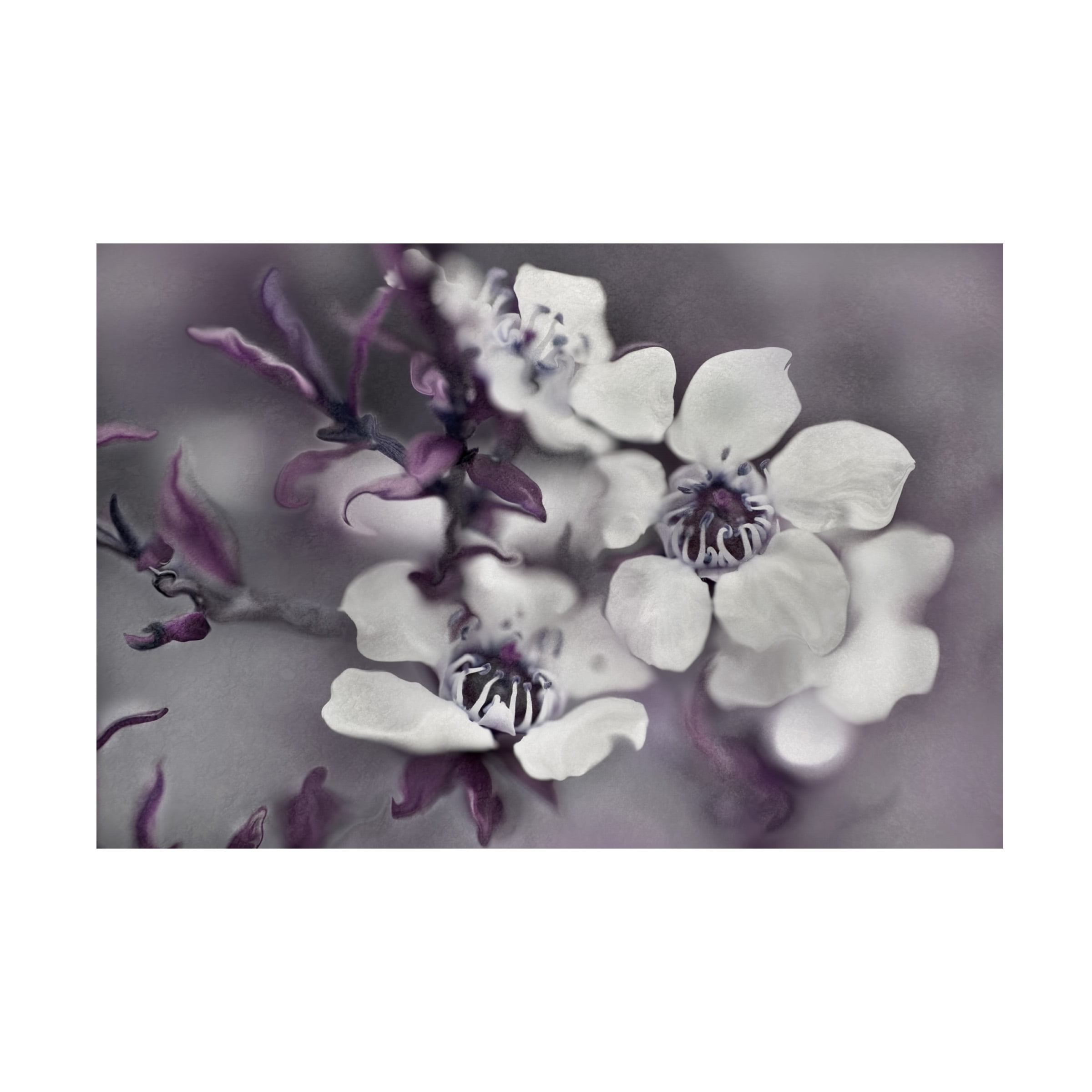 Gillian Hunt 'Tales from an Enchanted Glen I' Canvas Art - Walmart.com