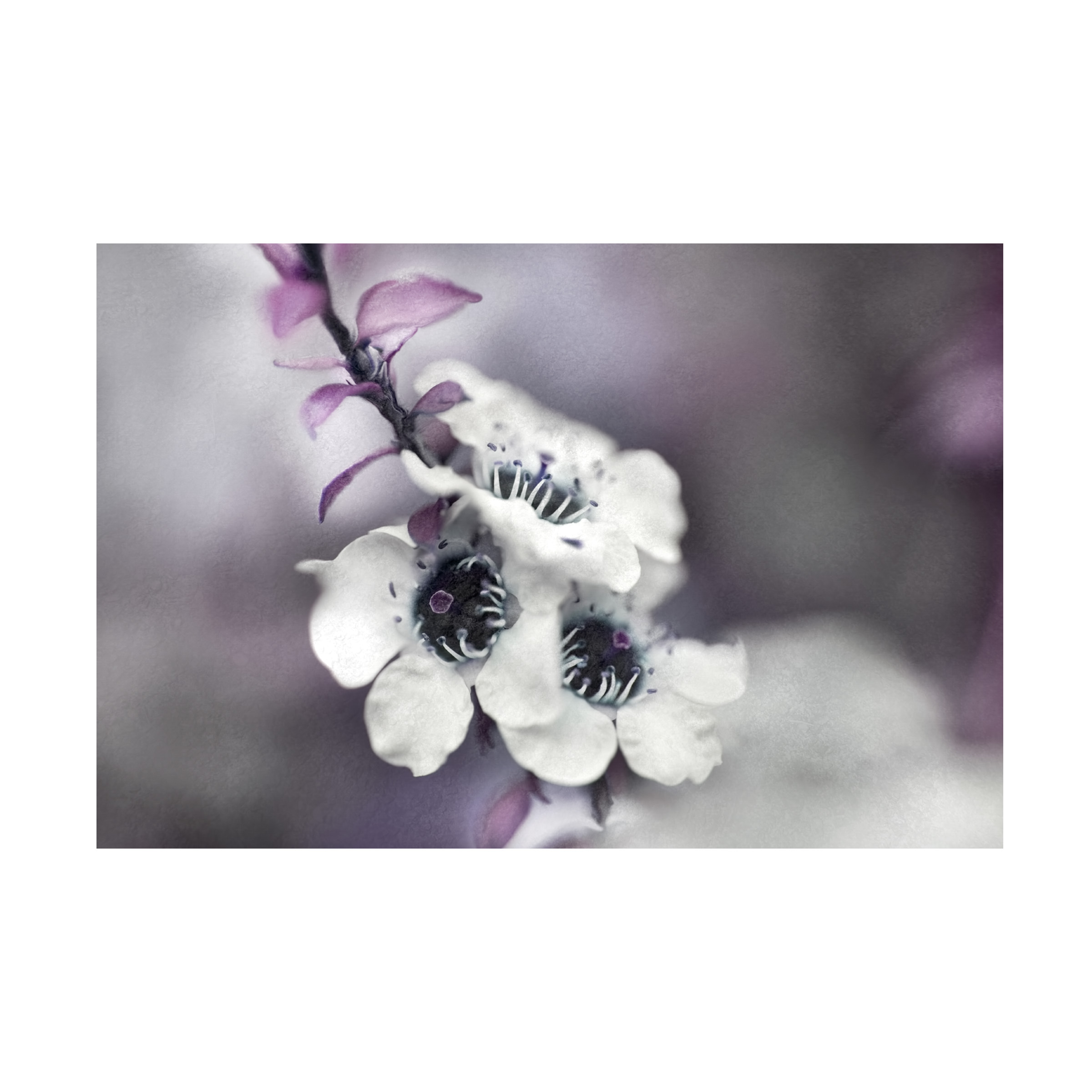 Gillian Hunt 'Tales from an Enchanted Glen V' Canvas Art - Walmart.com