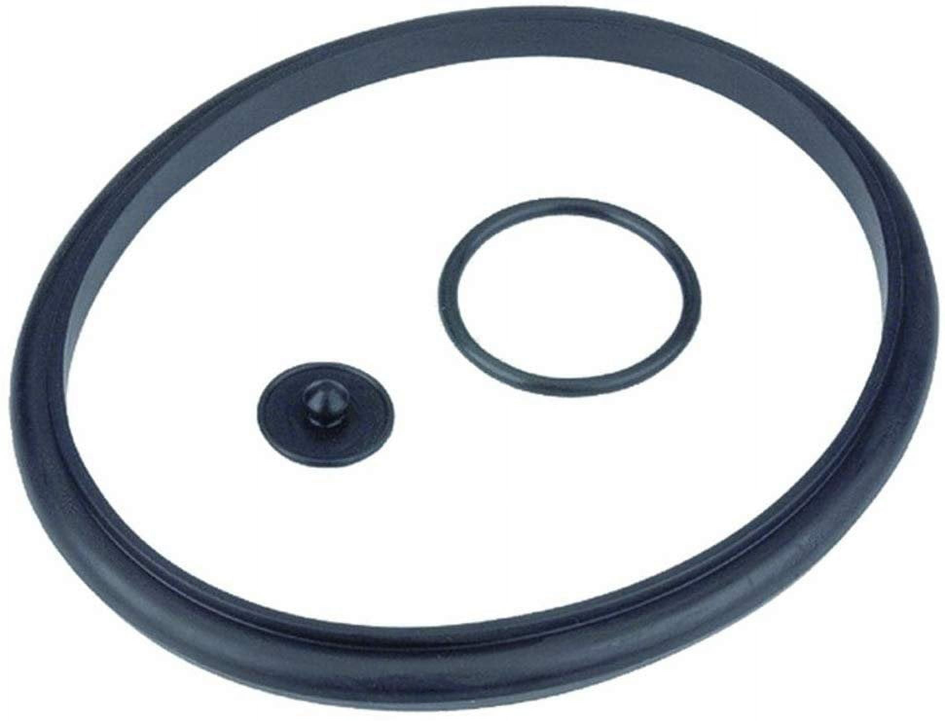 Gilmour Spray Doc Sprayer Seal Kit For XP Series R31C - Walmart.com
