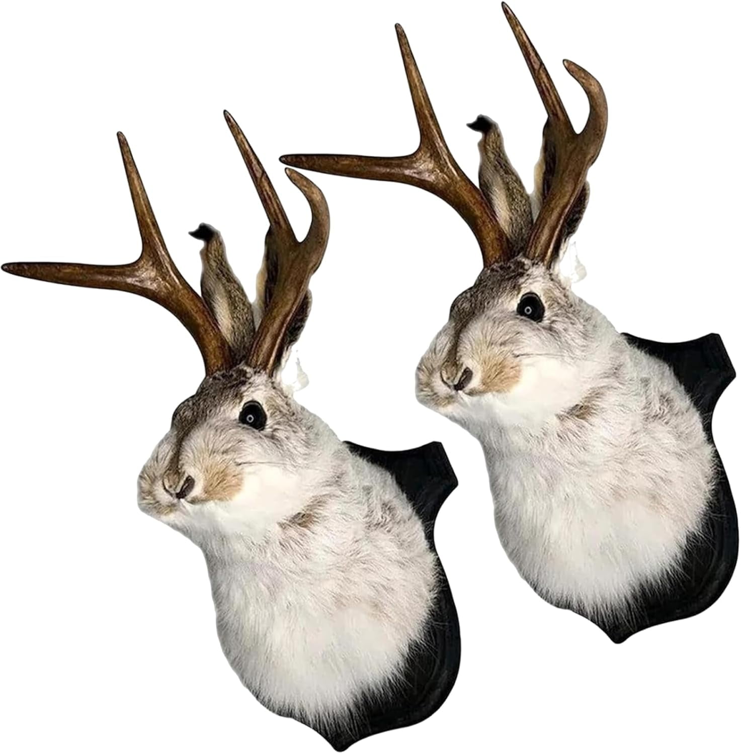 Giltpeak Jackalope Wall Mount, Resin Deer Head Wall Mount – Jackalope ...
