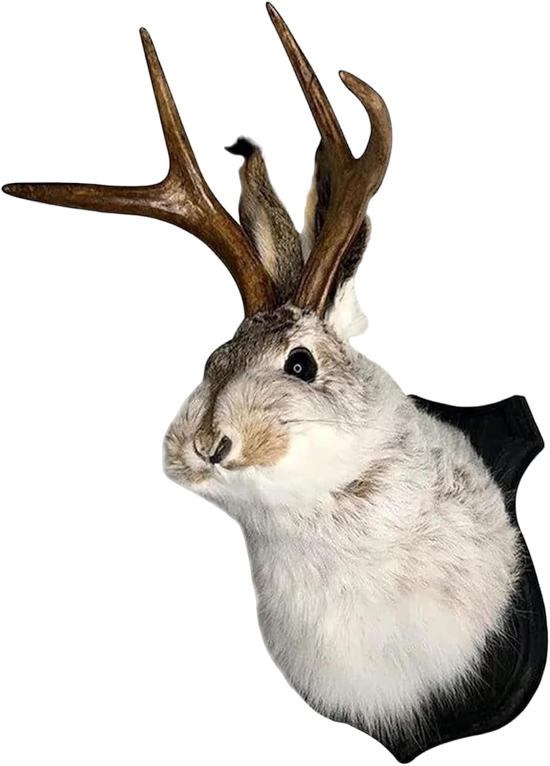 Giltpeak Jackalope Wall Mount, Resin Deer Head Wall Mount – Jackalope ...