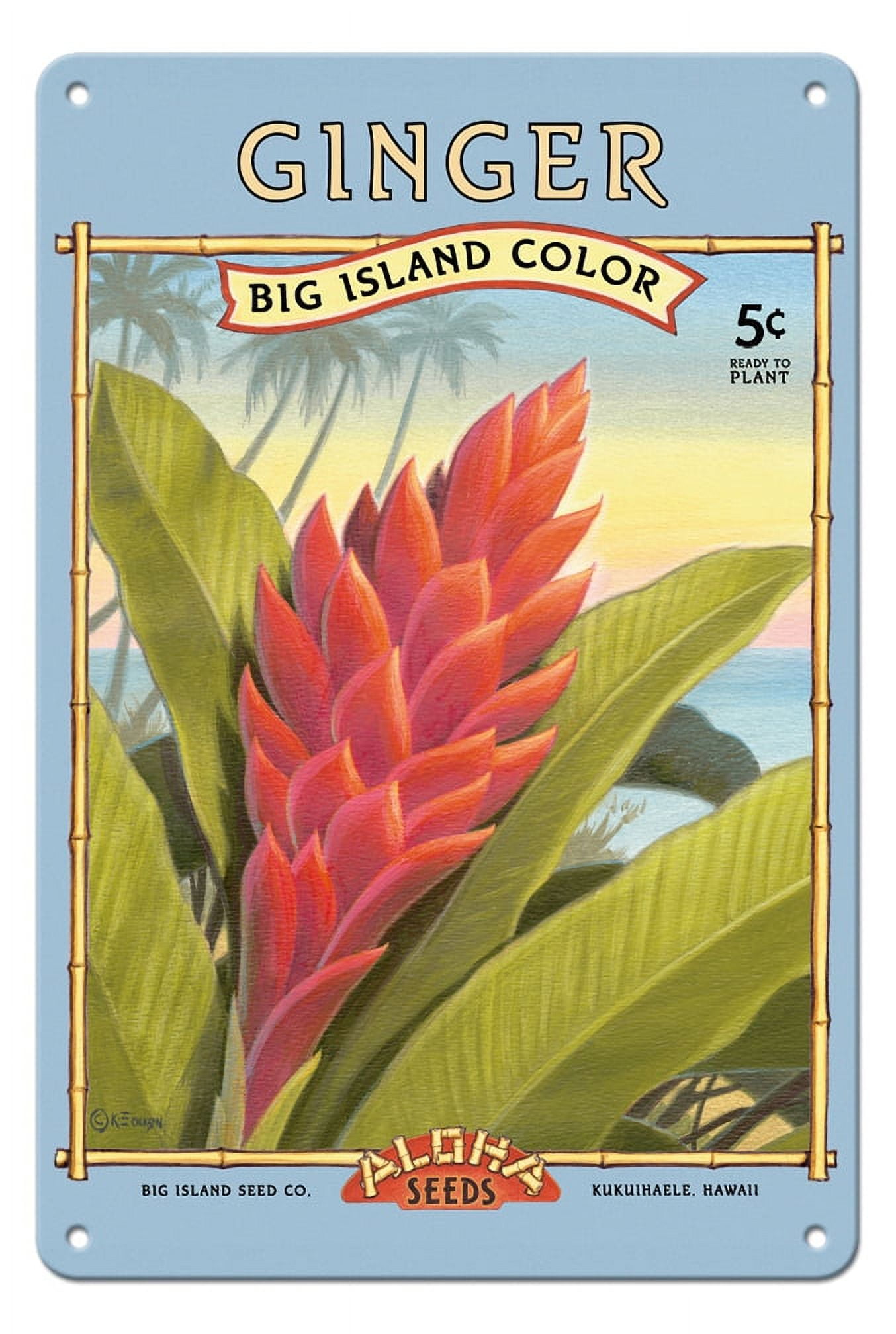 Ginger - Aloha Seeds - Big Island Seed Company - Big Island Color ...