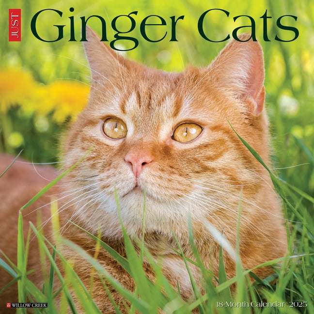 Ginger Cats 2025 Wall Calendar - Walmart.com