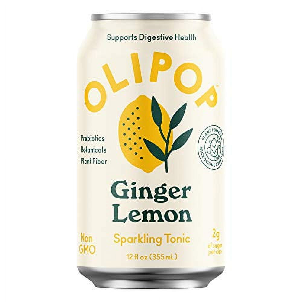 - Ginger Lemon Sparkling Tonic, Healthy Soda, Prebiotic Soft Drink ...