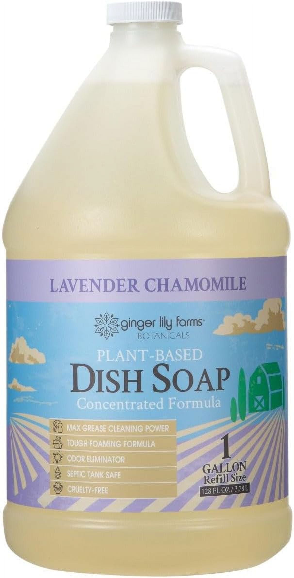 Ginger Lily Farms Botanicals Plant-Based Liquid Dish Soap, Concentrated ...