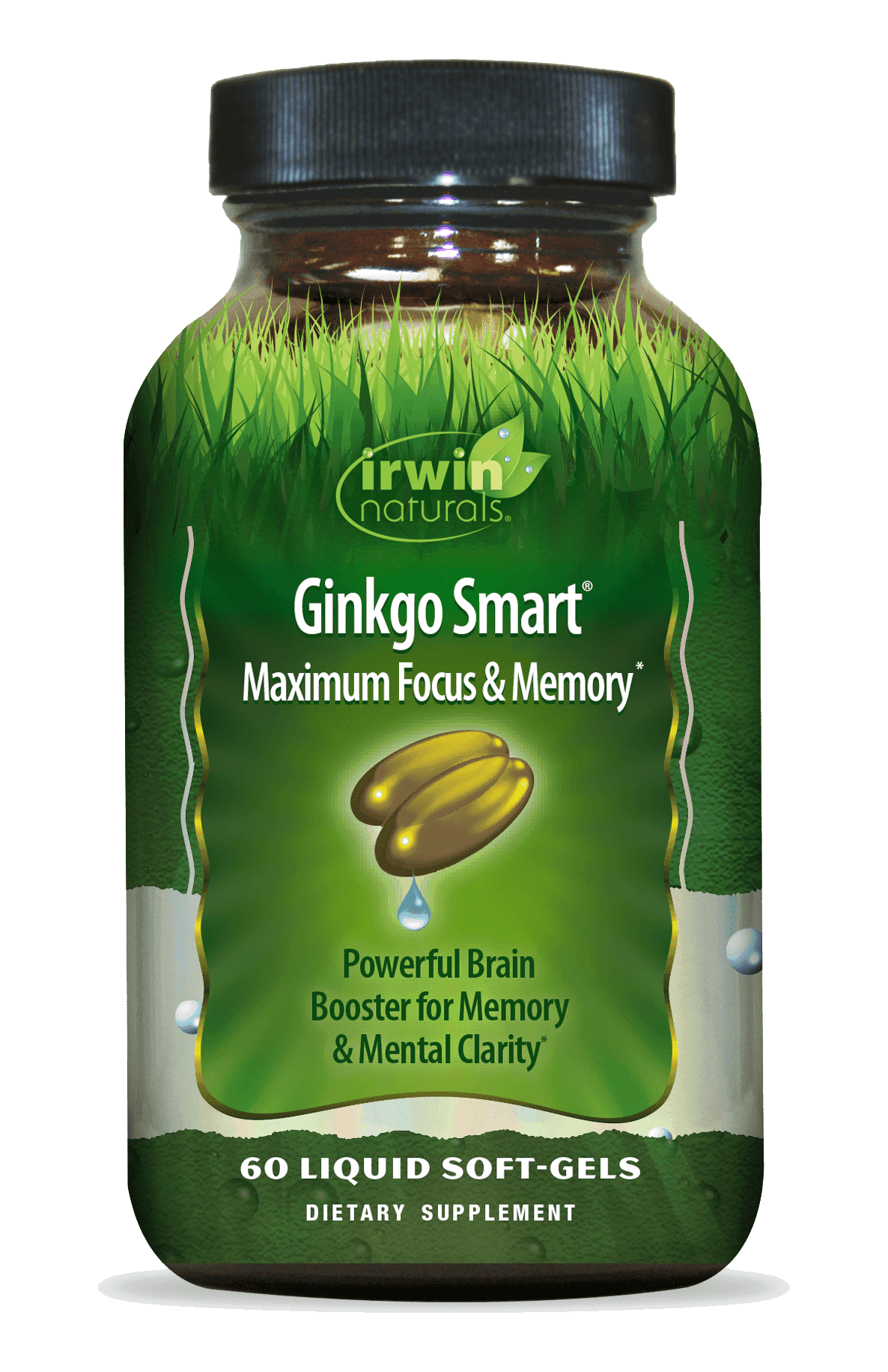 Irwin Naturals Ginkgo Smart Powerful Nootropic Brain Booster - 60 ...