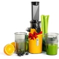 Ginnie Mini Cold Press Juicer, Small Slow Masticating Juicer for ...