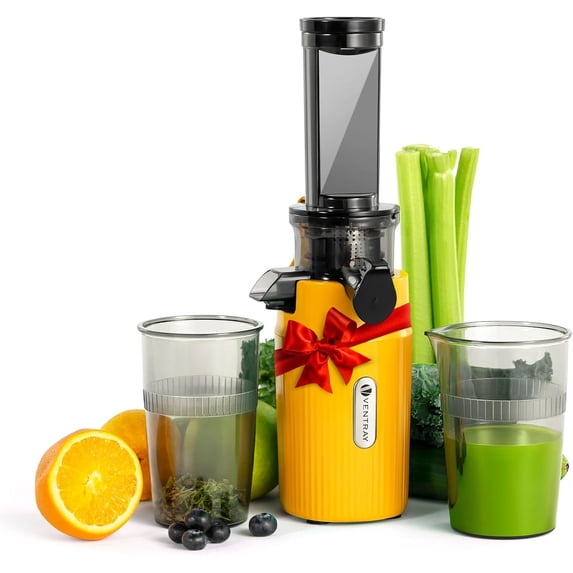 Ginnie Mini Cold Press Juicer, Small Slow Masticating Juicer for ...