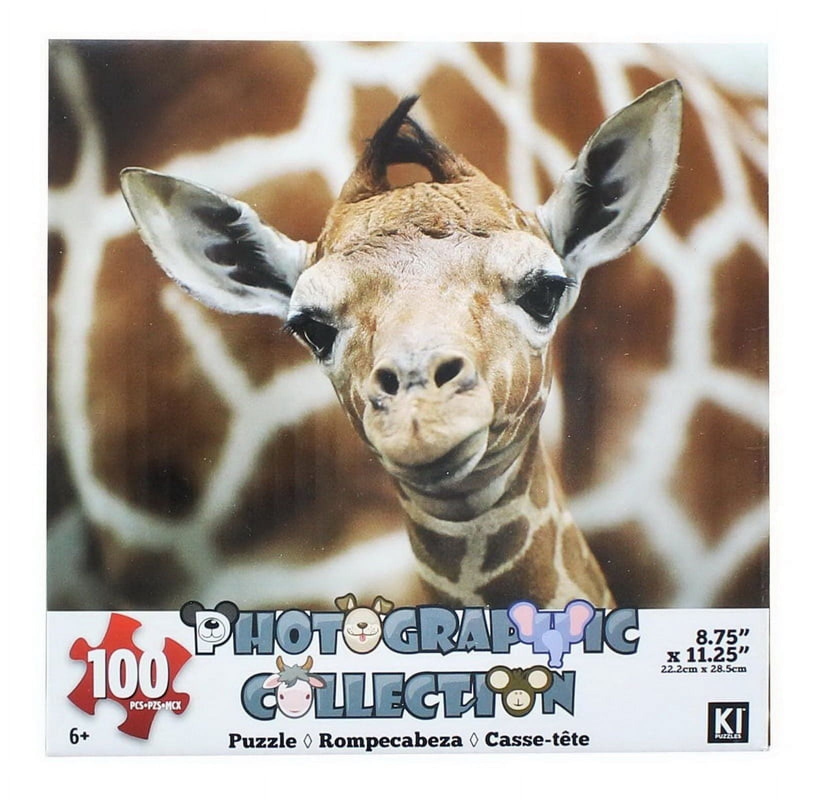 Giraffe 100 Piece Photographic Collection Jigsaw Puzzle - Walmart ...