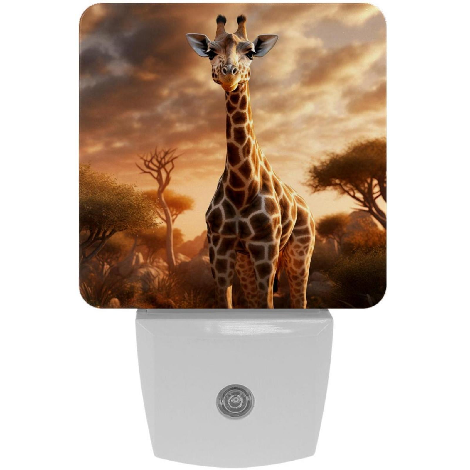 Giraffe LED Square Night Light - Compact and Energy Efficient ...