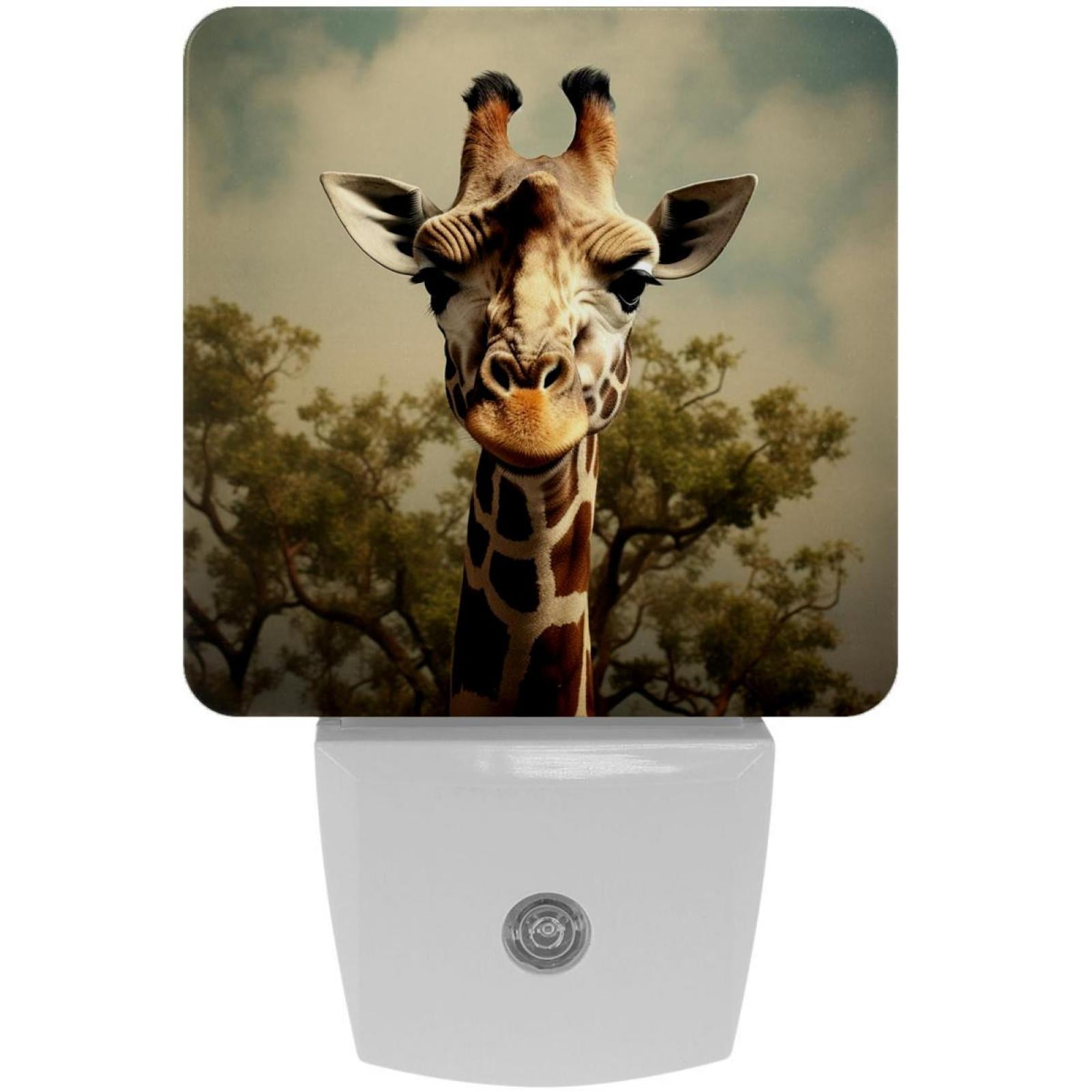Giraffe LED Square Night Lights - Energy Efficient and Stylish Bedroom ...