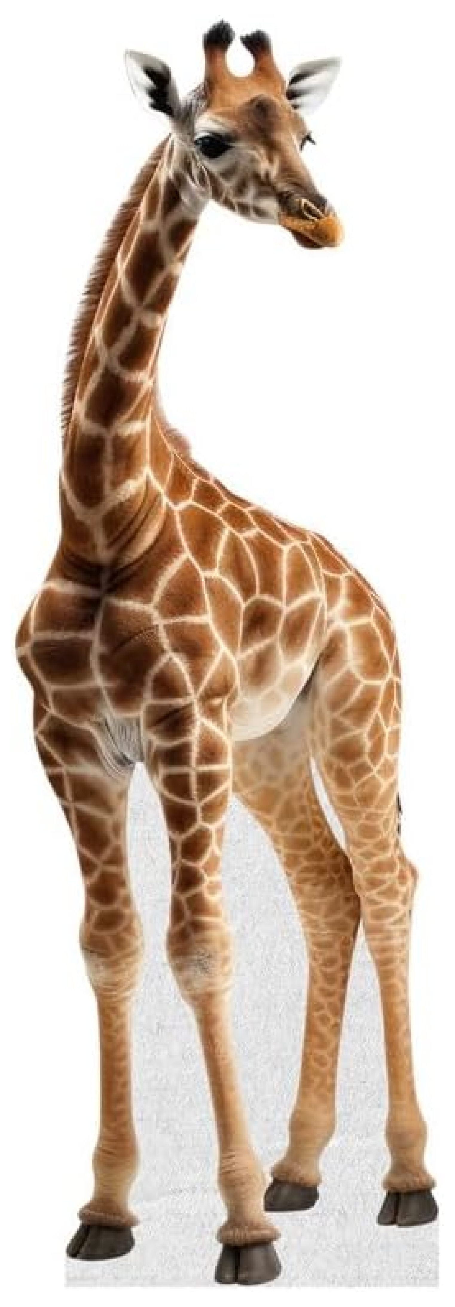 Giraffe - Life Size Cardboard Cutout Standup People with Support ...