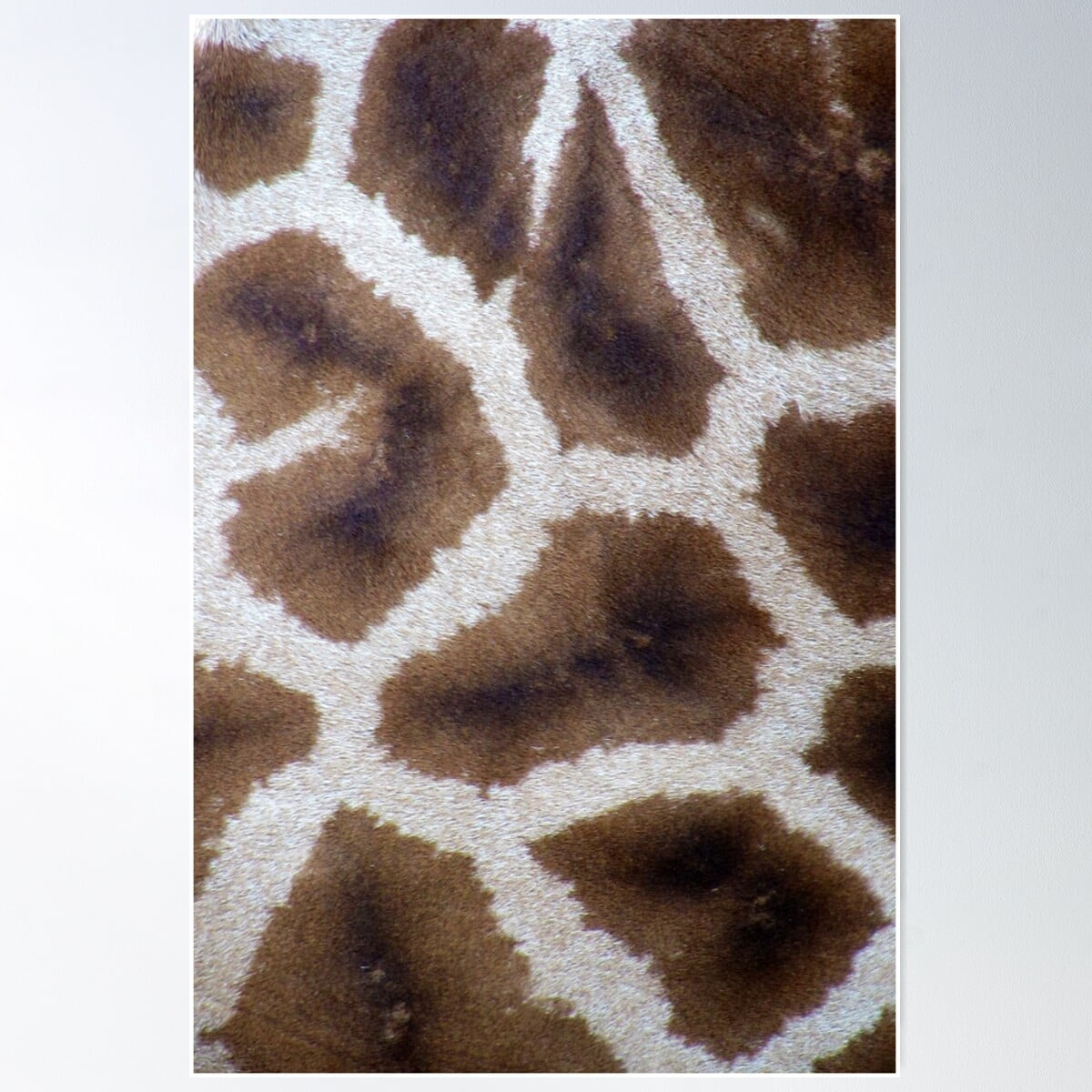 Giraffe Skin Texture For Lovers Of Giraffes, African Animals, Wildlife ...