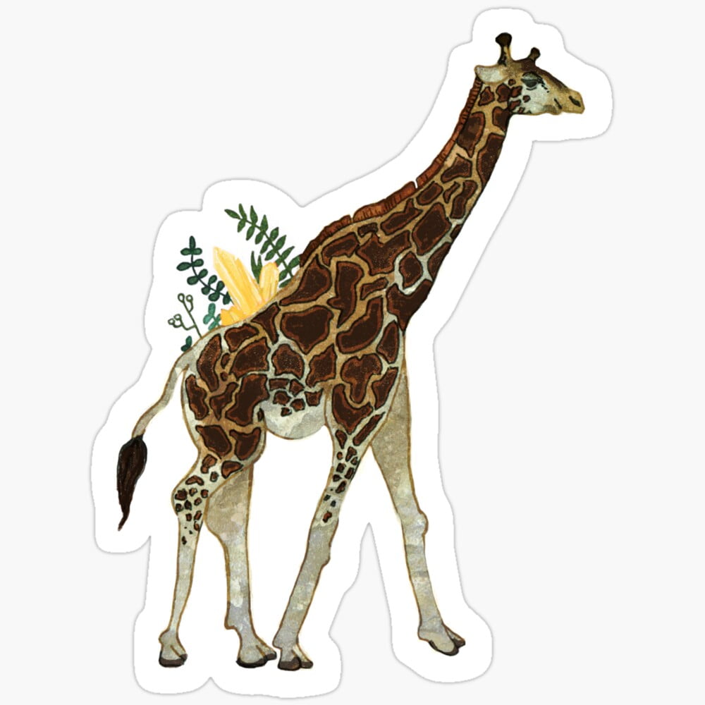 Giraffe Sticker Phone Decal Water Bottle Stickers Car Decals, Laptop ...