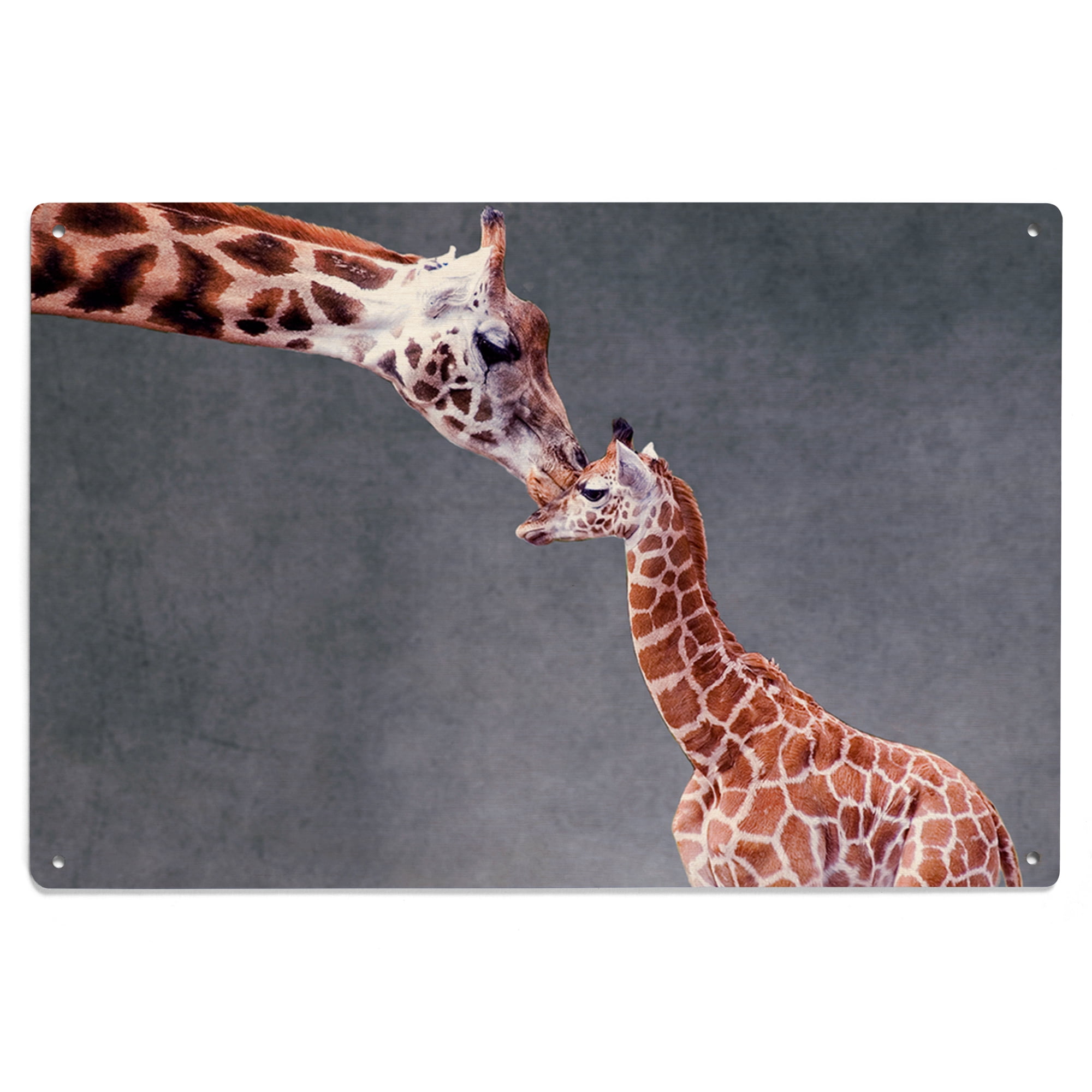 Giraffe and Calf Birch Wood Wall Sign (6x9 Rustic Home Decor, Ready to ...