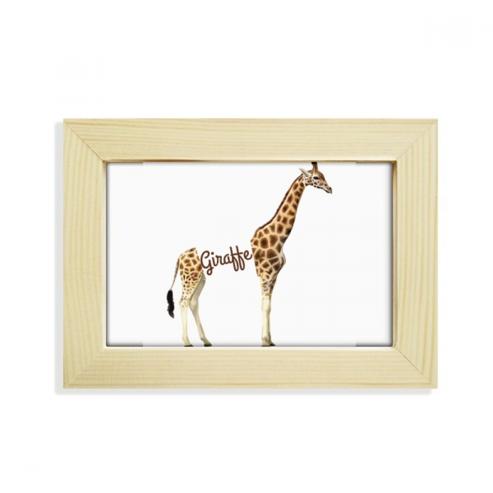 Giraffe's Height Stature Neck Desktop Decorate Photo Frame Picture Art ...
