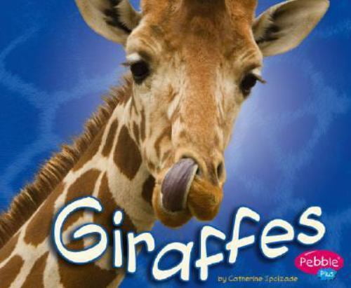 Pre-Owned Giraffes (Pebble Plus; African Animals) (Unknown) 1429612460 9781429612463 - Walmart.com