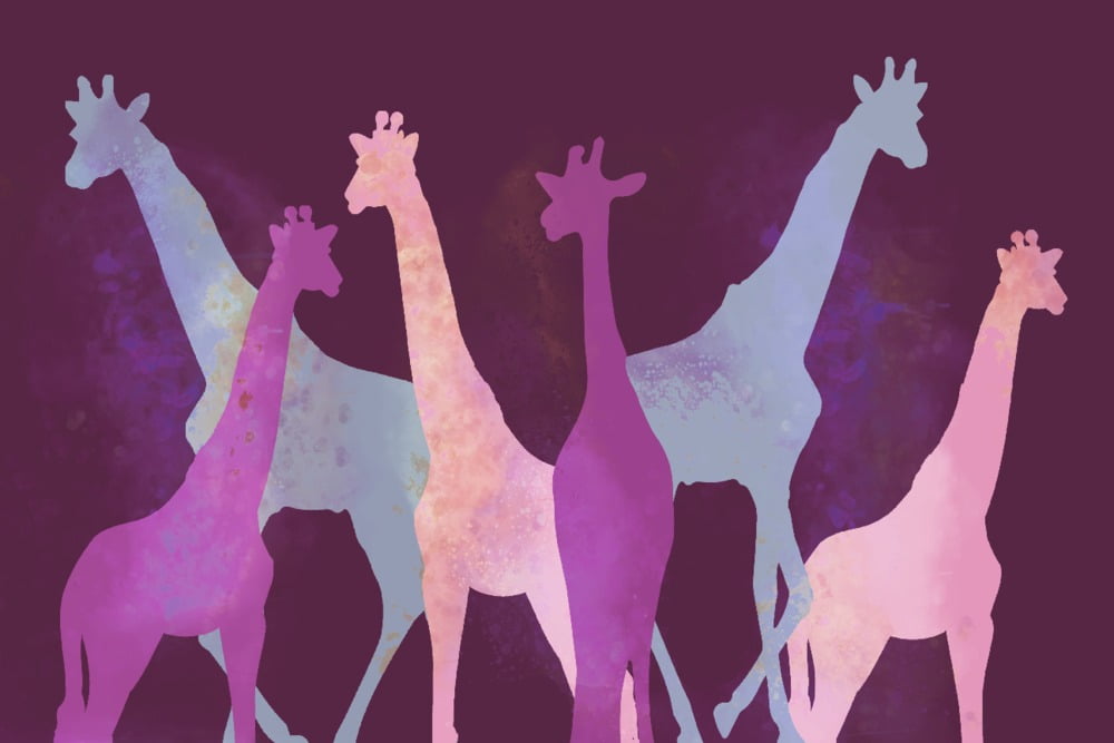 Giraffes, Watercolor, Purple (24x36 Giclee Gallery Art Print, Vivid ...