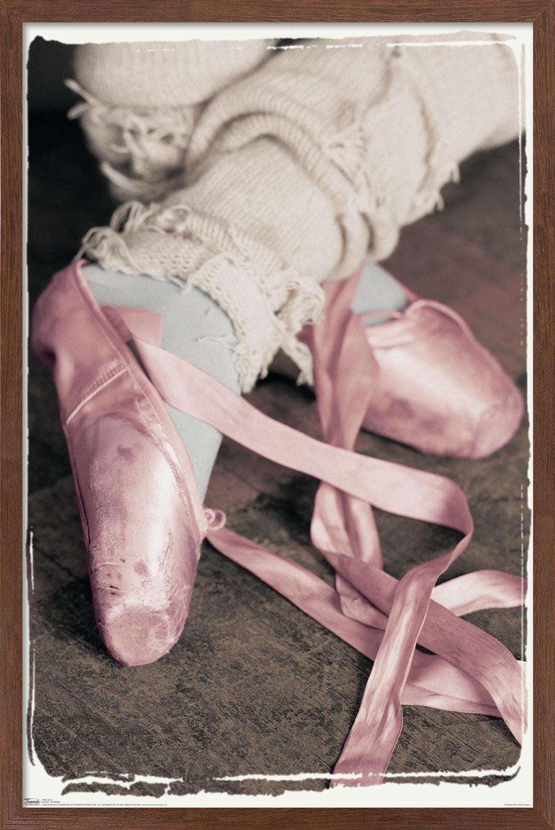Girl's Feet in Pink Ballet Slippers Wall Poster, 14.725" x 22.375 ...