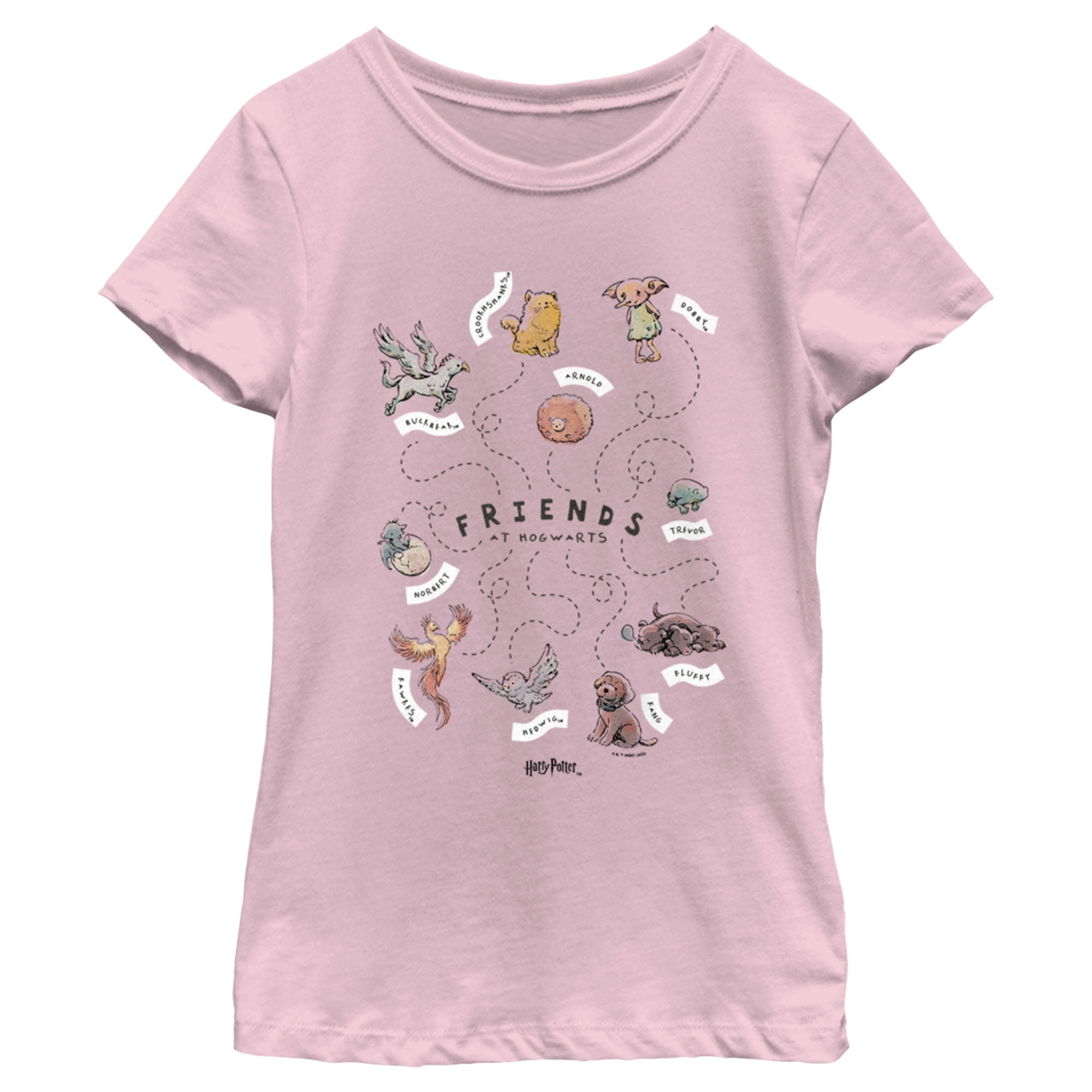 Harry Potter Girls' Graphic Tee, Light Pink, Large, Featuring Hogwarts ...