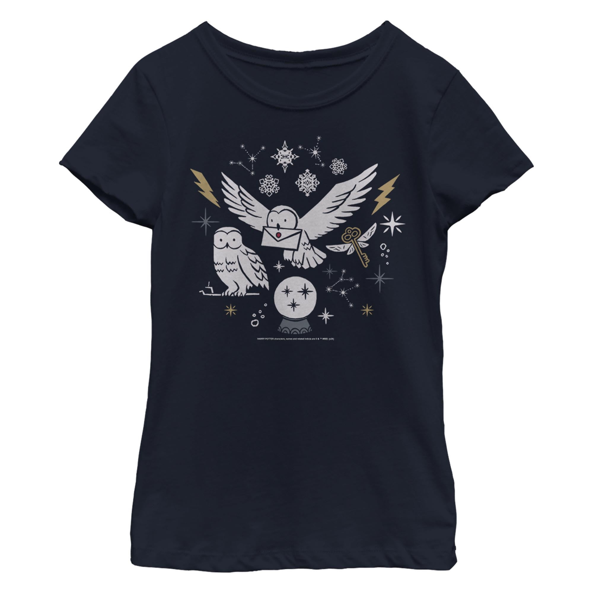 Girl's Harry Potter Hedwig Winter Owl Graphic T-Shirt - Walmart.com