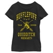 Girl's Harry Potter Hagrid & Hedwig Kawaii Cuties Graphic Tee Red Large ...