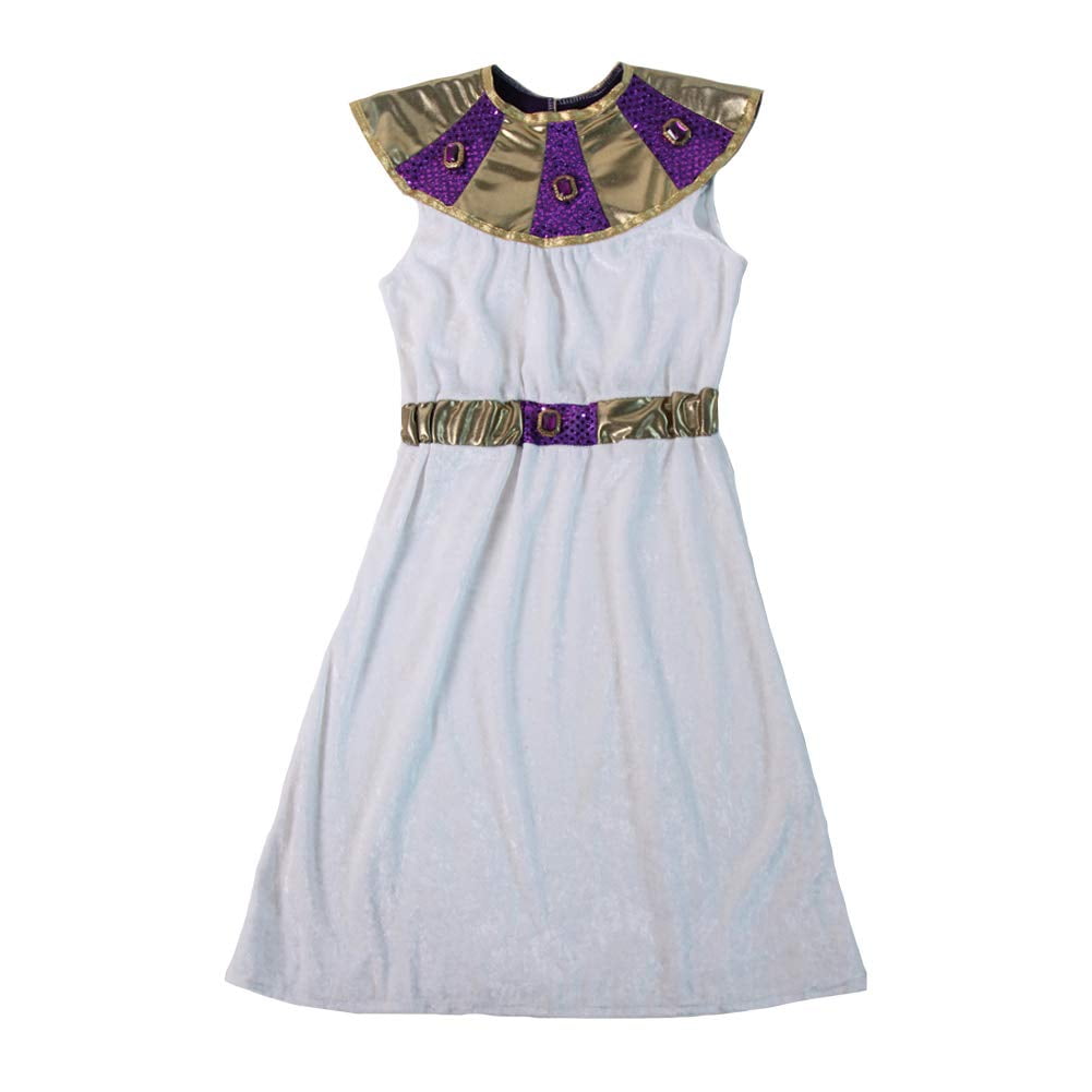 Girls Cleopatra White, Purple and Gold Sheath Dress Costume Size 4-6 ...