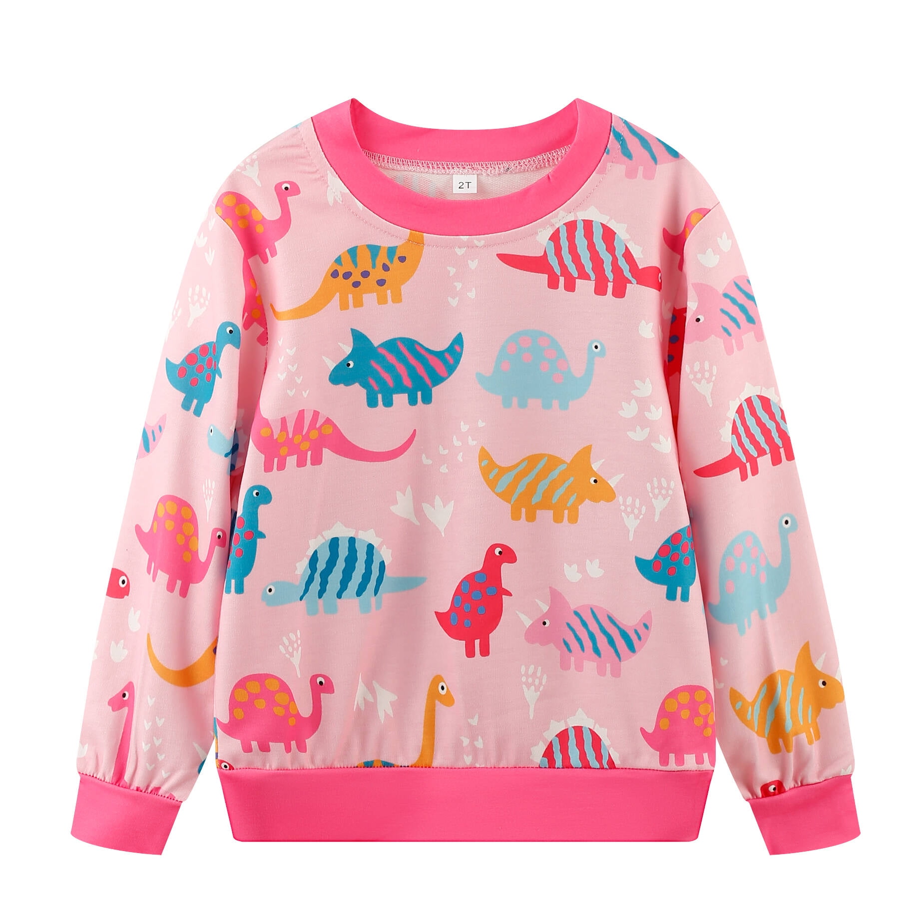 Girls Crewneck Pink Casual Sweatshirts Dinosaur Print Clothes Long ...