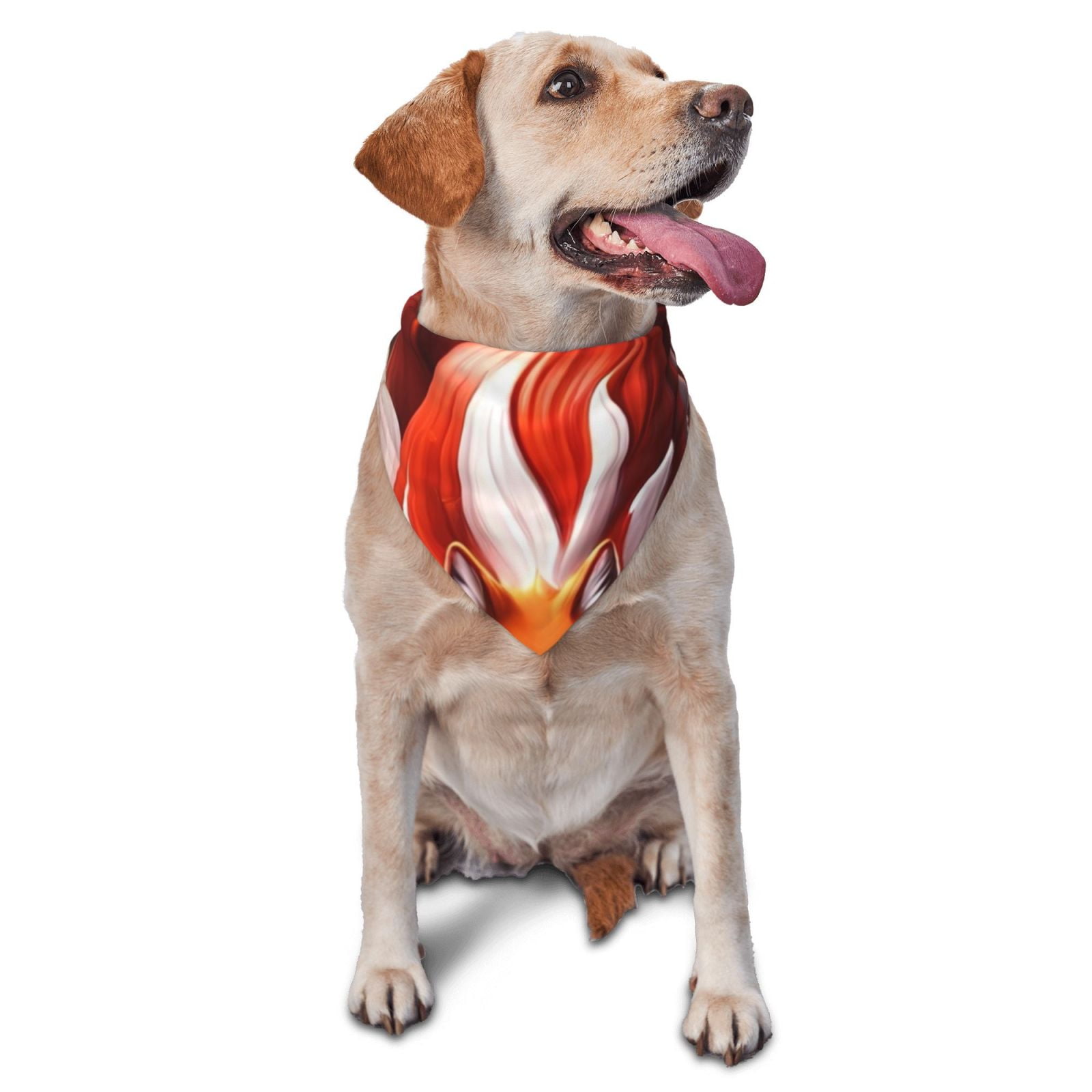 Giroia Red Leaf Flame Fox for Pet Safe Comfort Fit Dogs and Cats Scarf ...