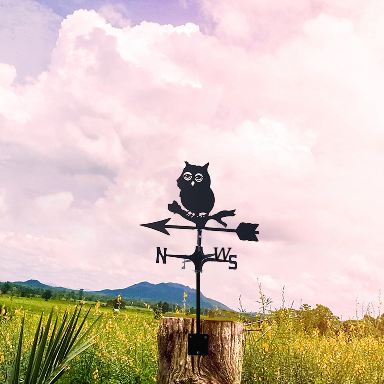 Giunmcul 50% Off Clear Weather Vane Decoration Roof Weather Vane Garden ...