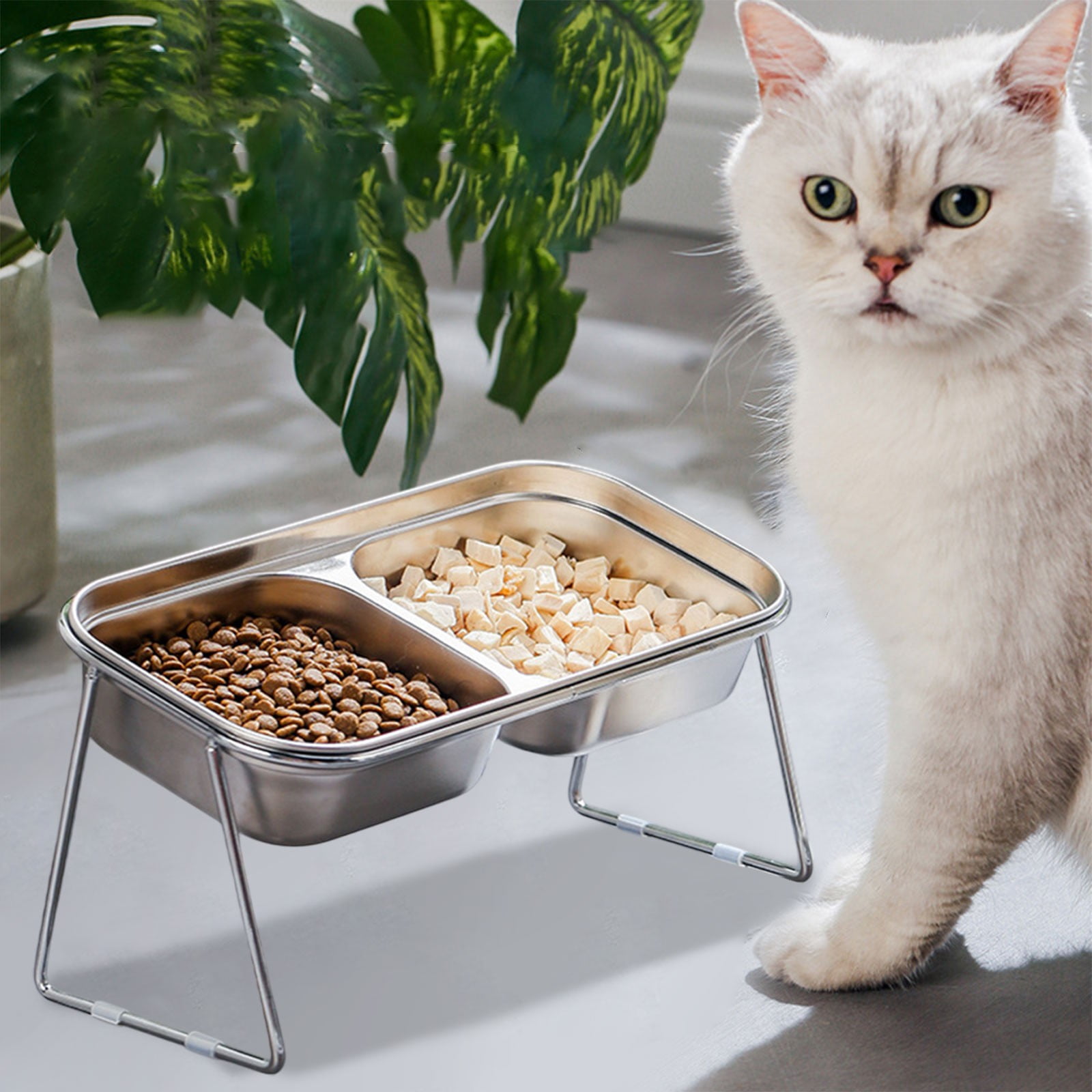 Giunmcul My Order Stainless Steel Kitty Bowl Kitty Food Bowl Dog Kitty ...