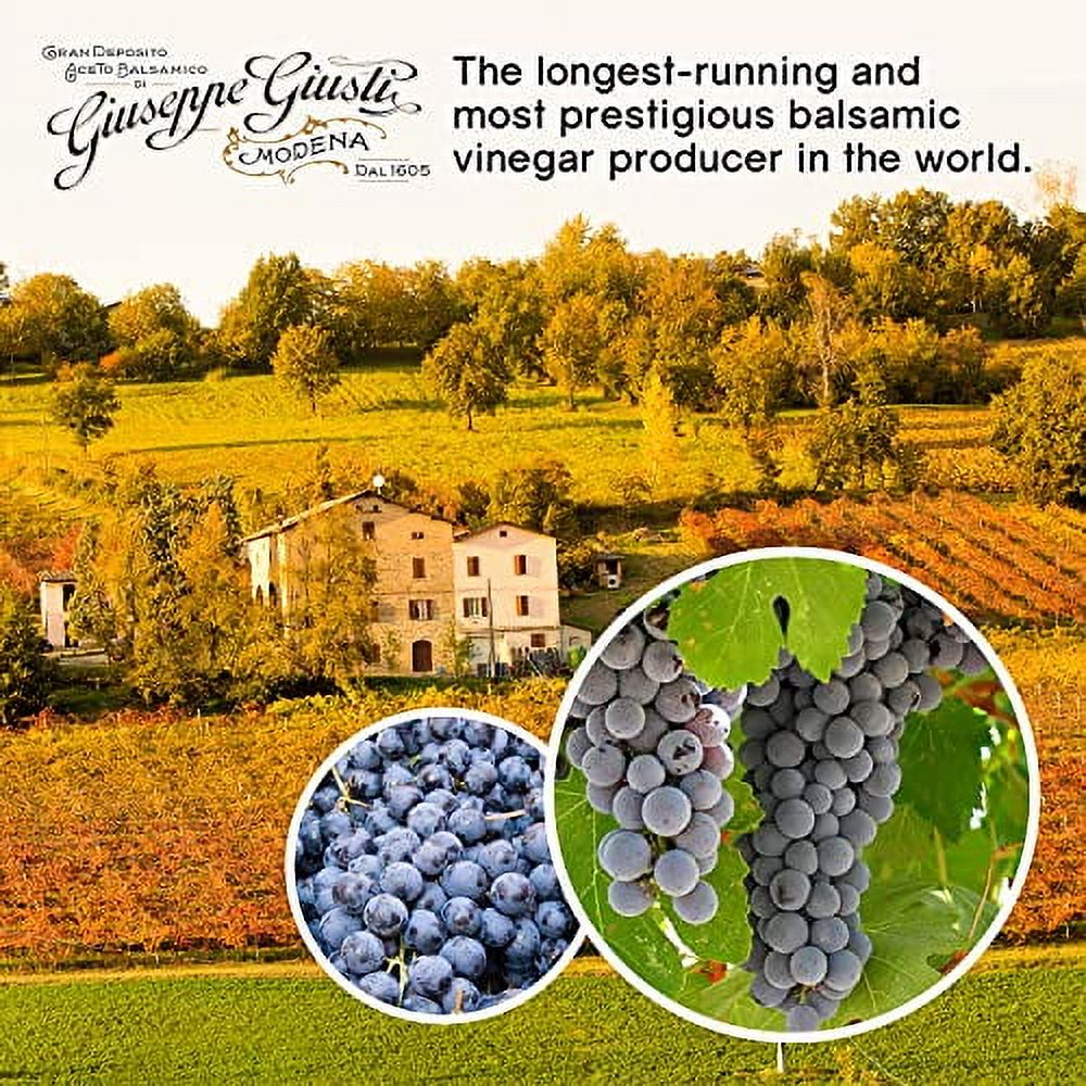 Giuseppe Giusti Silver Medal (Aged 6 Years) Aceto Balsamico di Modena ...