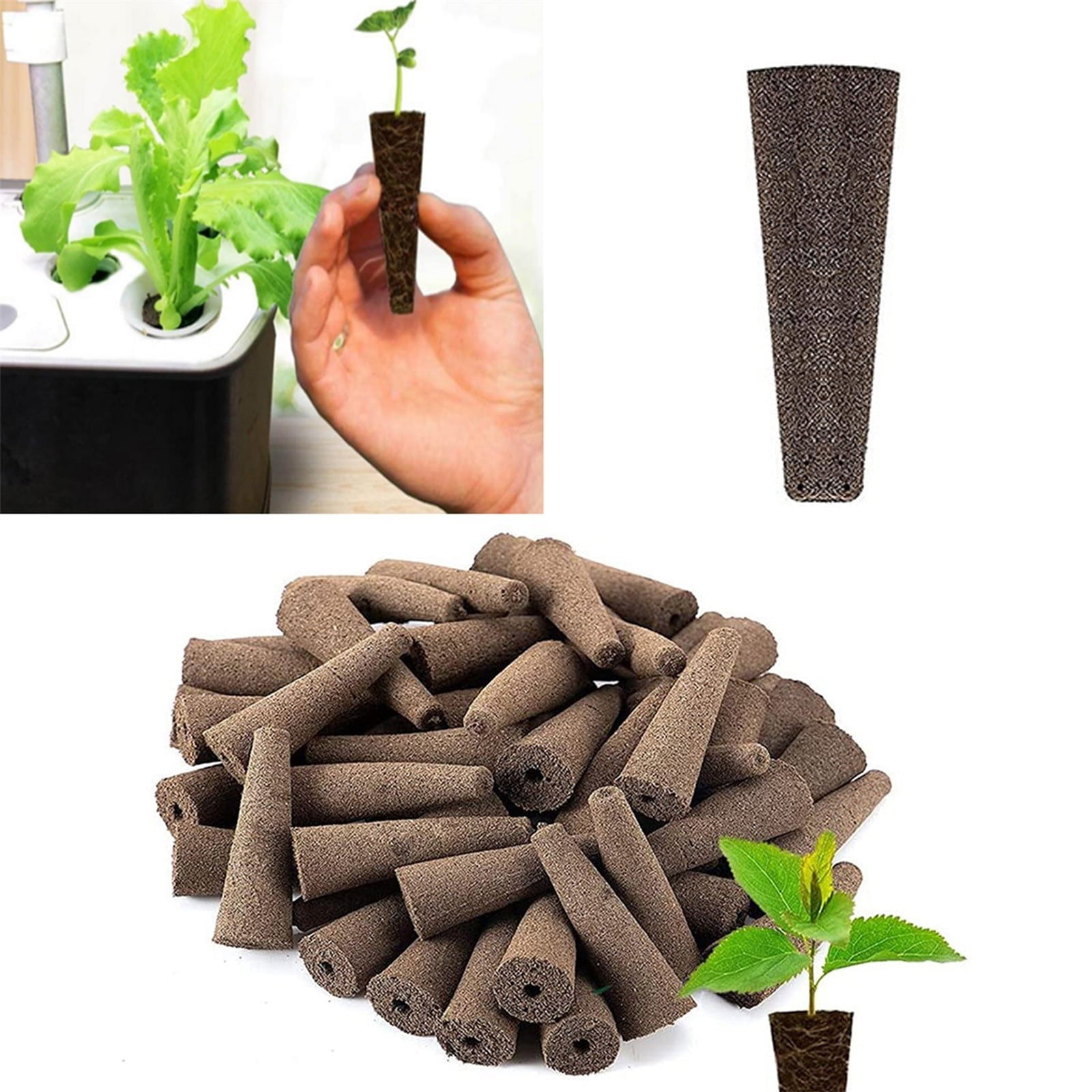 Giyblacko Growth Sponges Plant Germination Kits 50 Pack) - Walmart.com