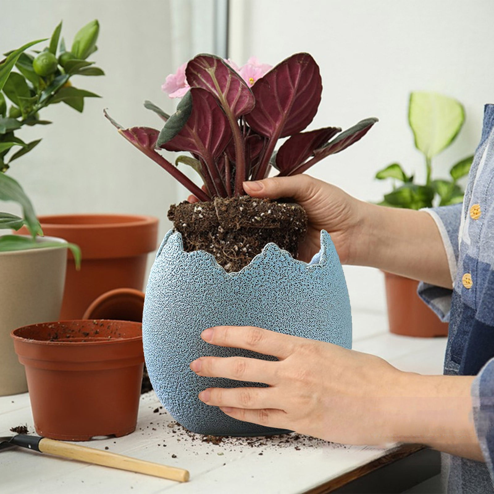 Giyblacko Flower Pots Meaty Flowerpot Ceramic Potted Rough Pottery ...