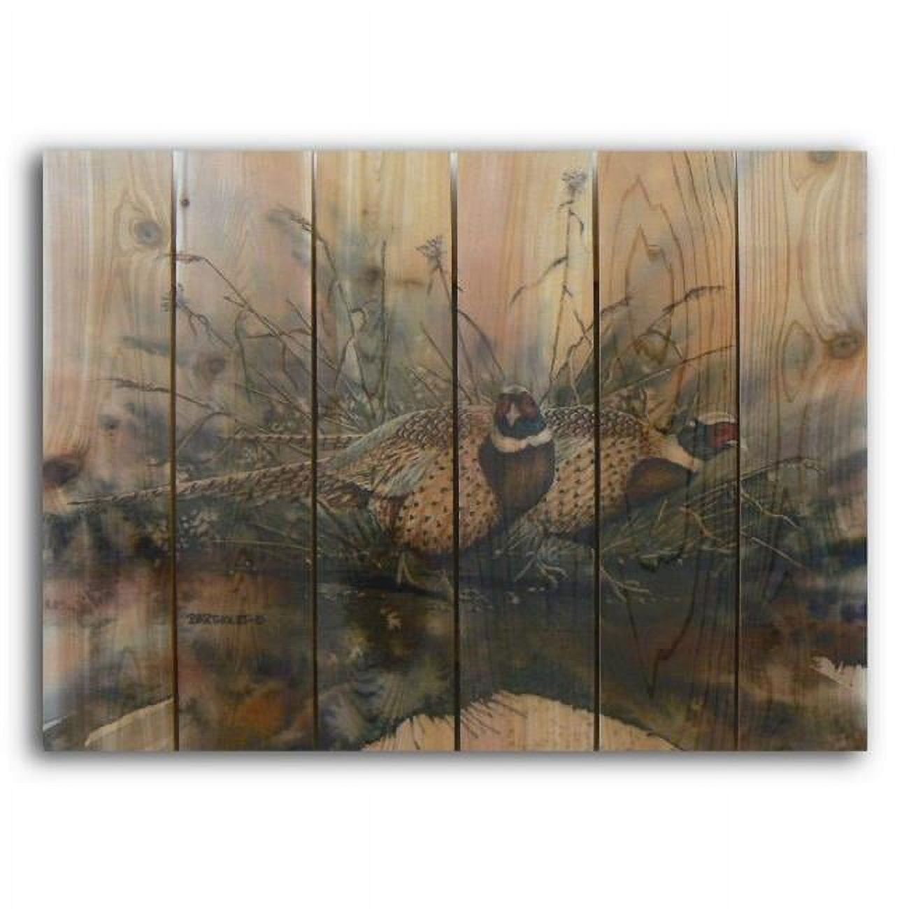 Gizaun Art DBTS2836 33 x 24 The Sneakers Inside & Outside Full Color ...