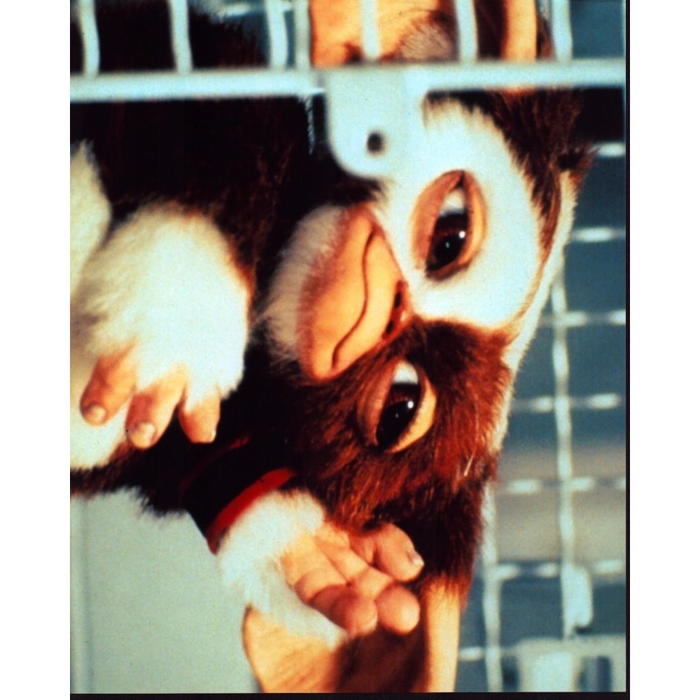 Gizmo In Cage In Gremlins 2: The New Batch Photo Print (16 x 20) - Item ...