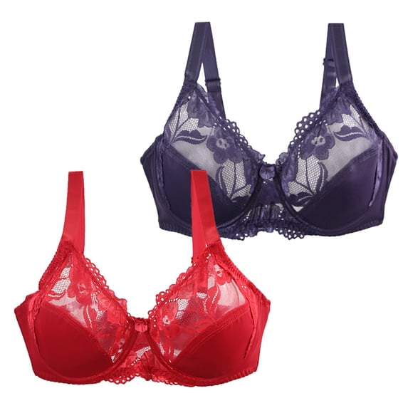 Gkeoshab Nursing Bras 2PC Women's Plus Size DEF Cup Lace Mesh Bras ...