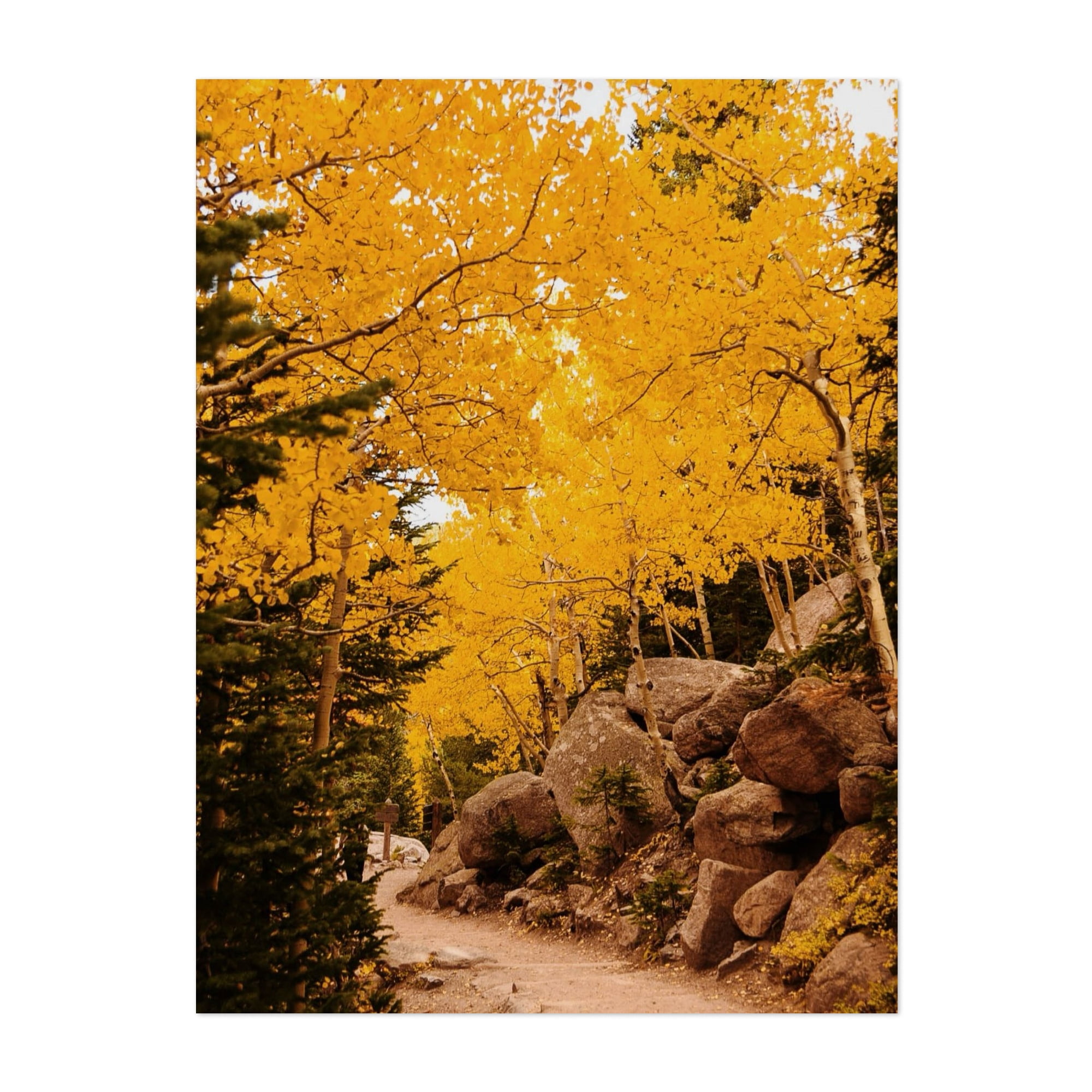 Glacier Gorge Aspen Alley II - Colorado Photography Autumn Nature ...
