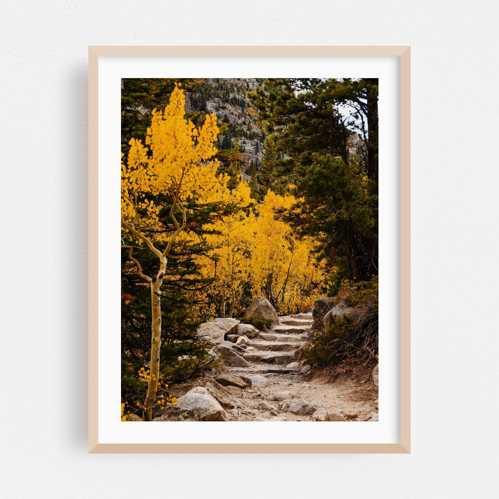 Glacier Gorge Steps - Colorado Photography Autumn Nature Forest ...