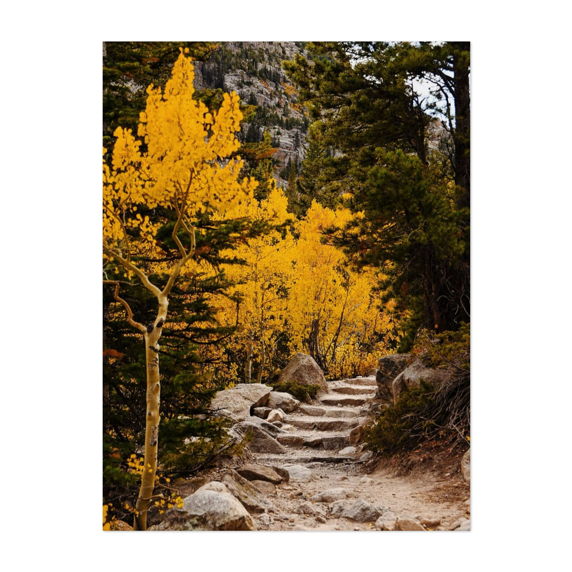Glacier Gorge Steps - Colorado Photography Autumn Nature Forest ...