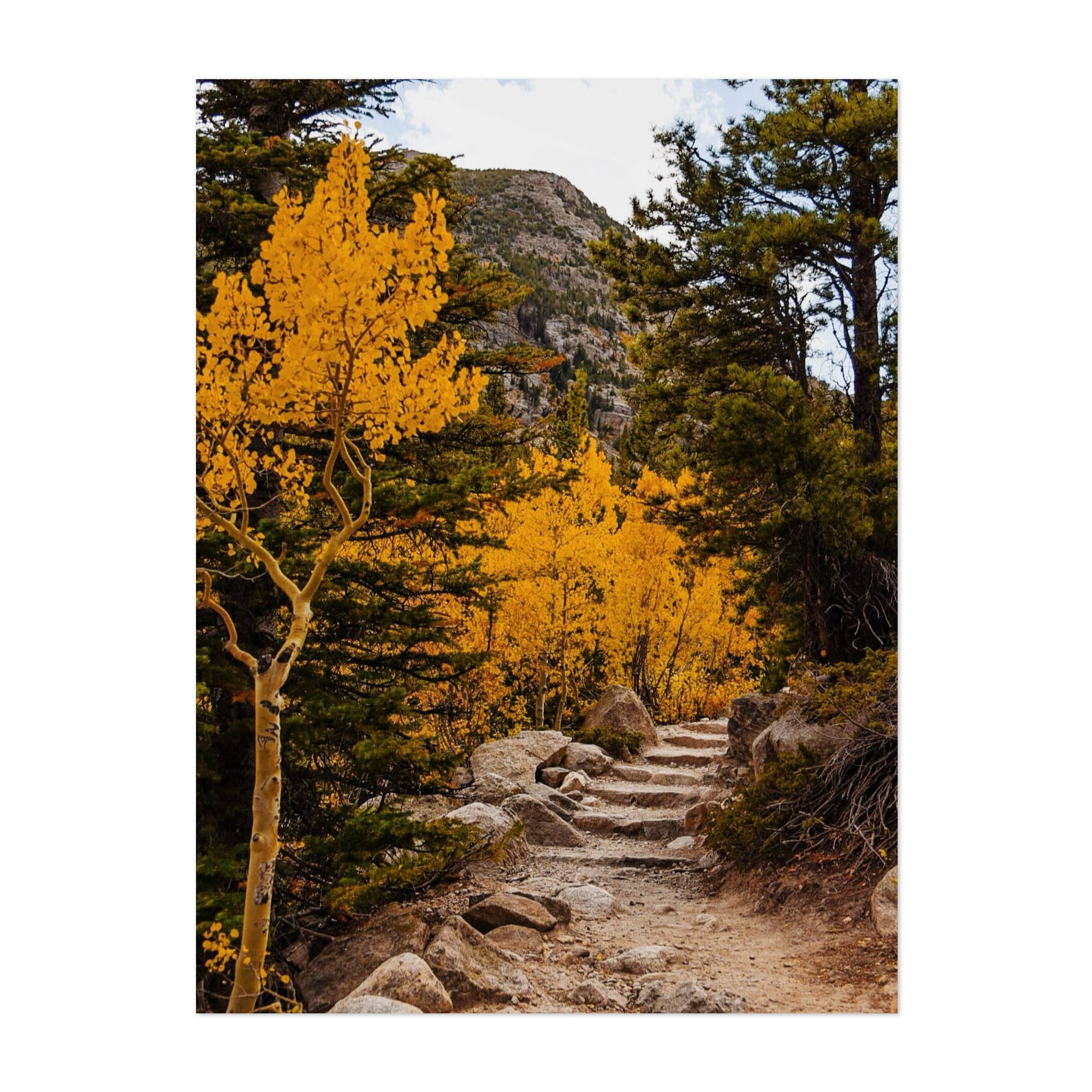 Glacier Gorge Steps II - Colorado Photography Autumn Nature Forest ...