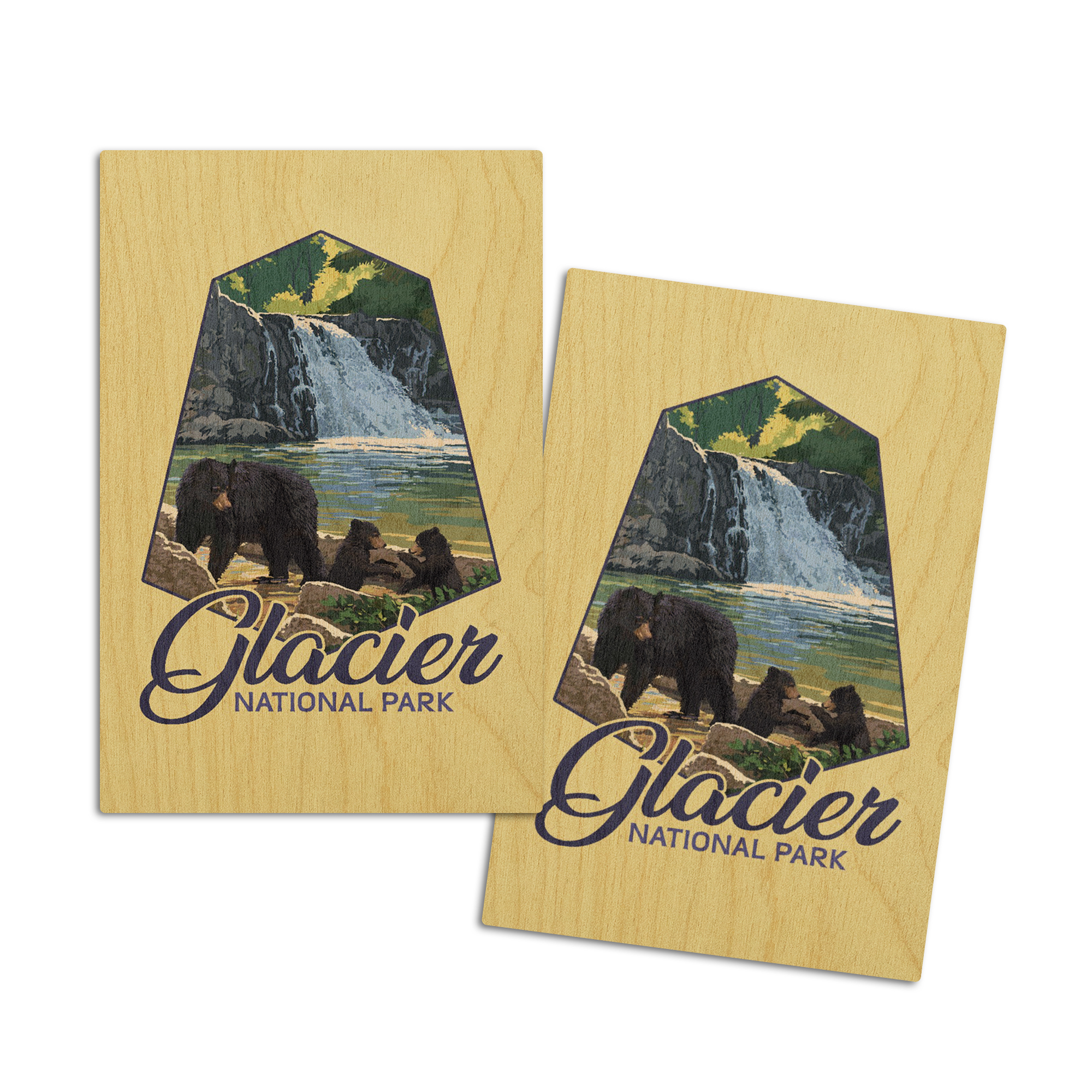 Glacier National Park, Montana, Black Bear Family and Waterfall ...