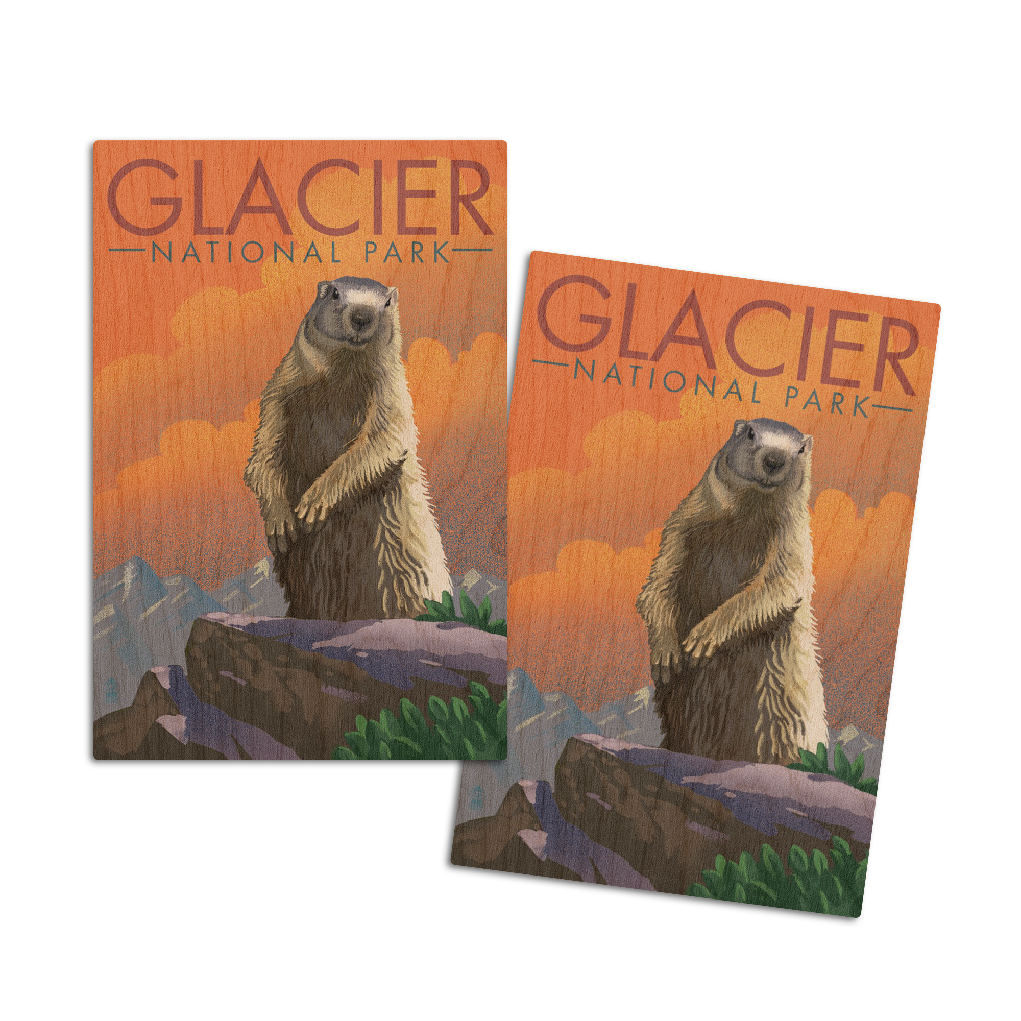 Glacier National Park, Montana, Marmot, Lithograph (4x6 Birch Wood ...