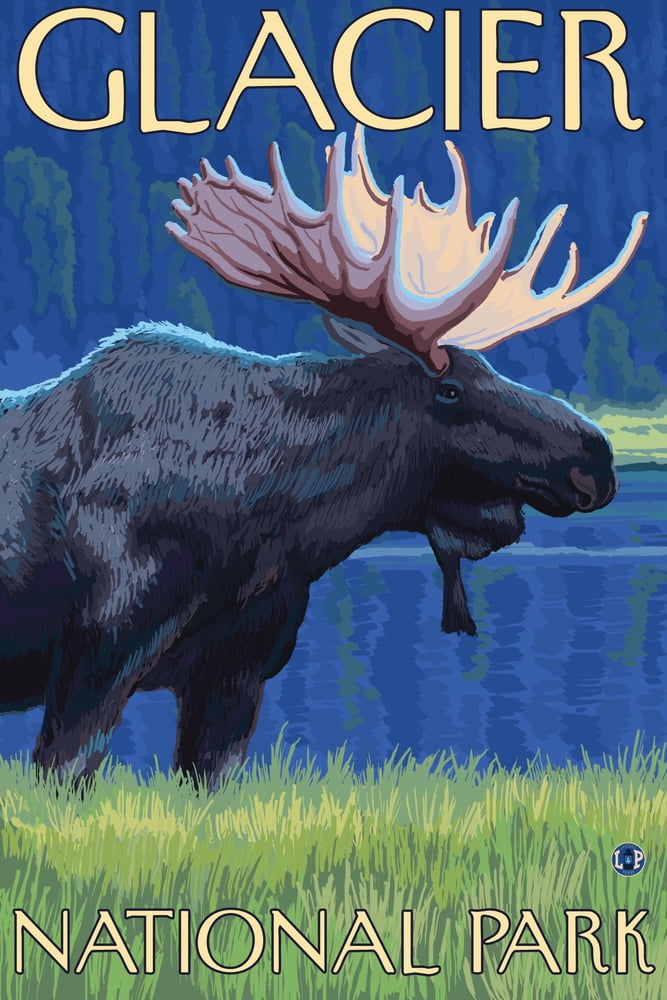 Glacier National Park, Montana, Moose at Night (16x24 Giclee Gallery ...