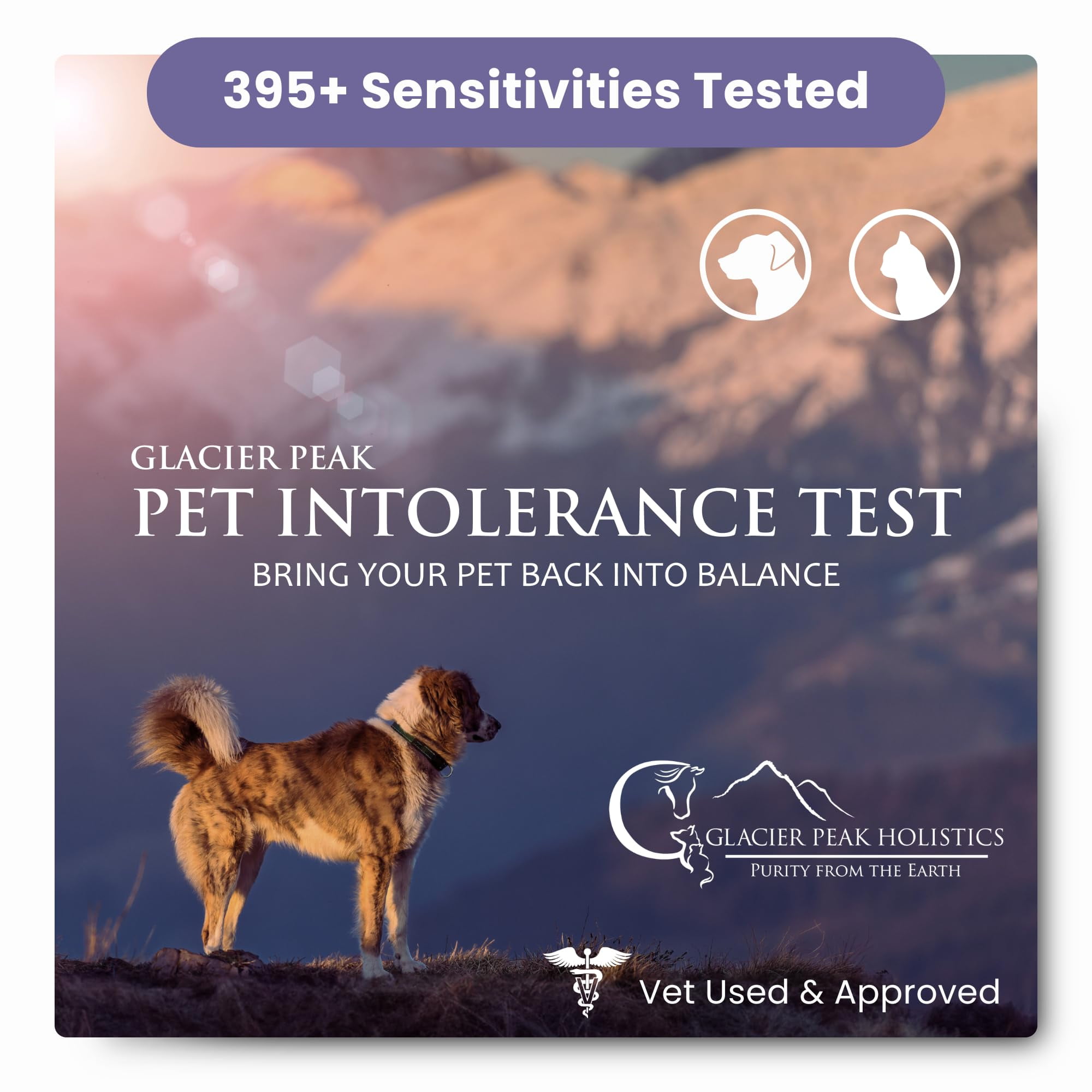 Glacier Peak Holistics, The TGF4 Original Pet Intolerance Test - for ...