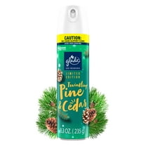 The WEB FilterFresh Whole Home Cool Nights Air Freshener. Filter scent ...